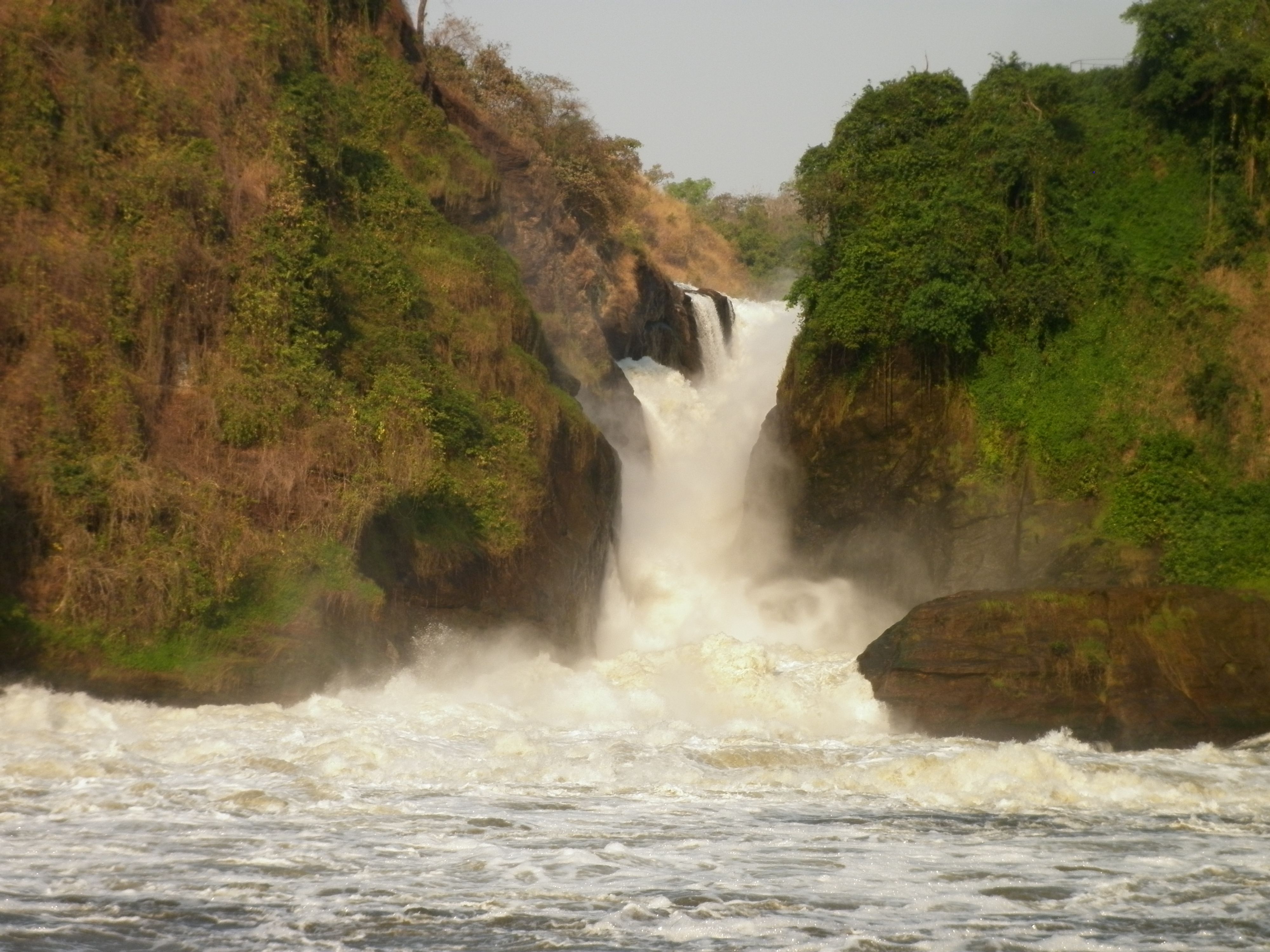 Free stock photo of africa, nature, river - Stock Image - Everypixel