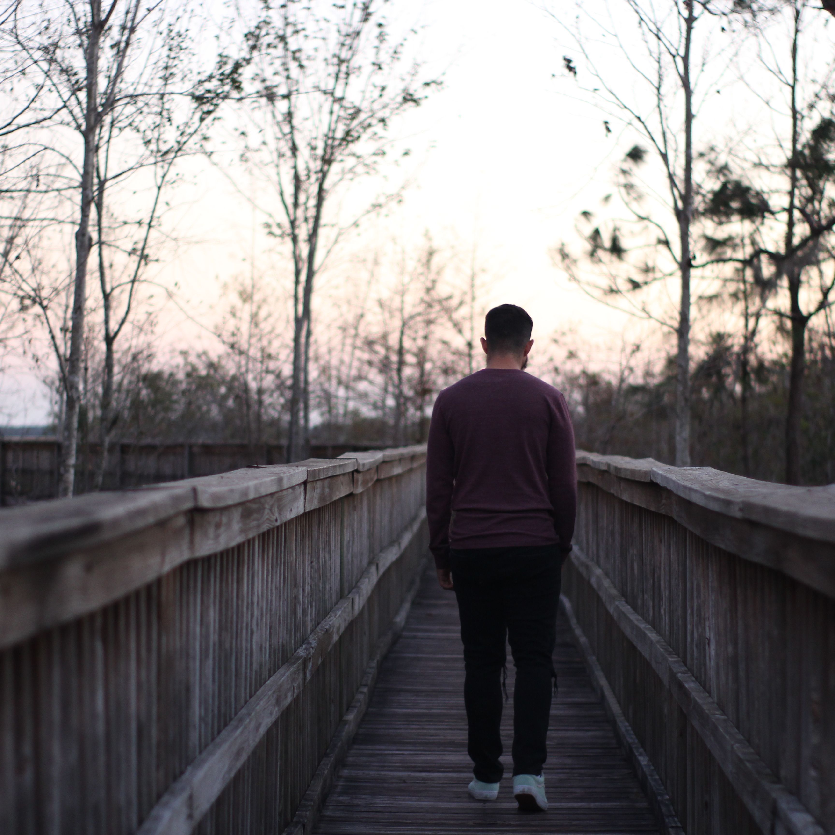 Back View of a Man Walking on a Wooden Bridge · Free Stock Photo