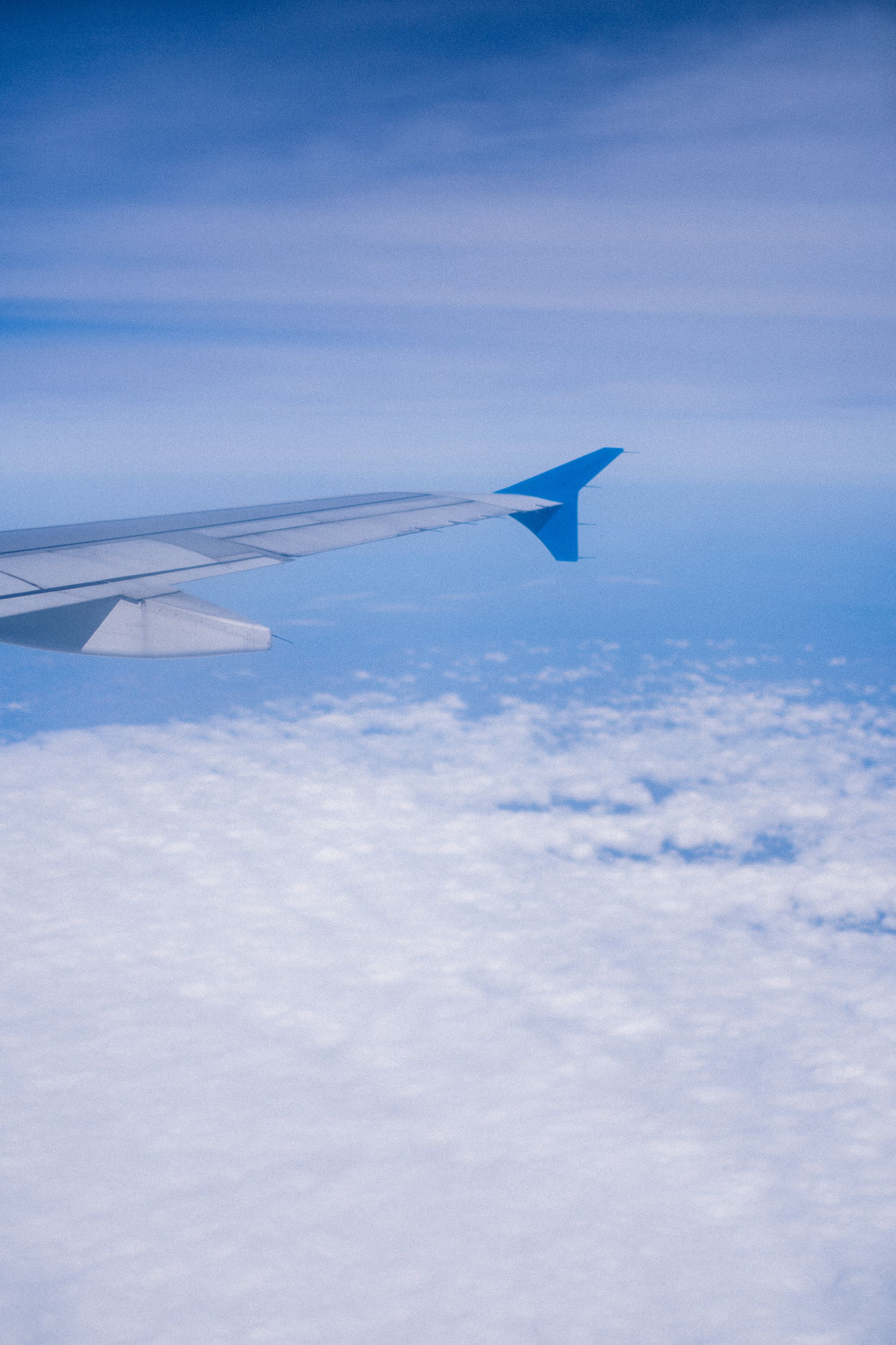 Foto profissional gratuita de acima das nuvens, asa de aeronave, asa de ...