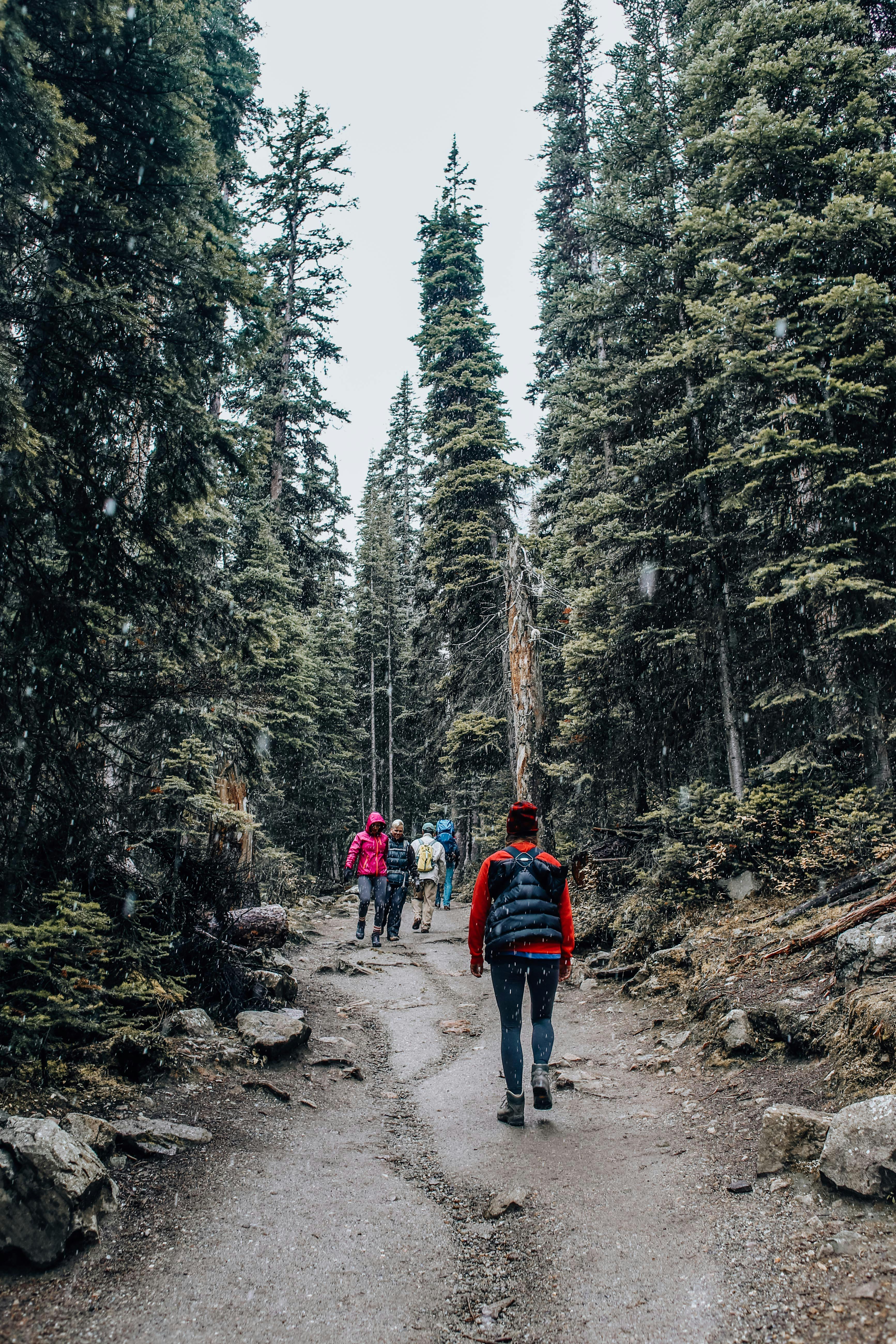 Feather Snow Photos, Download The BEST Free Feather Snow Stock Photos ...