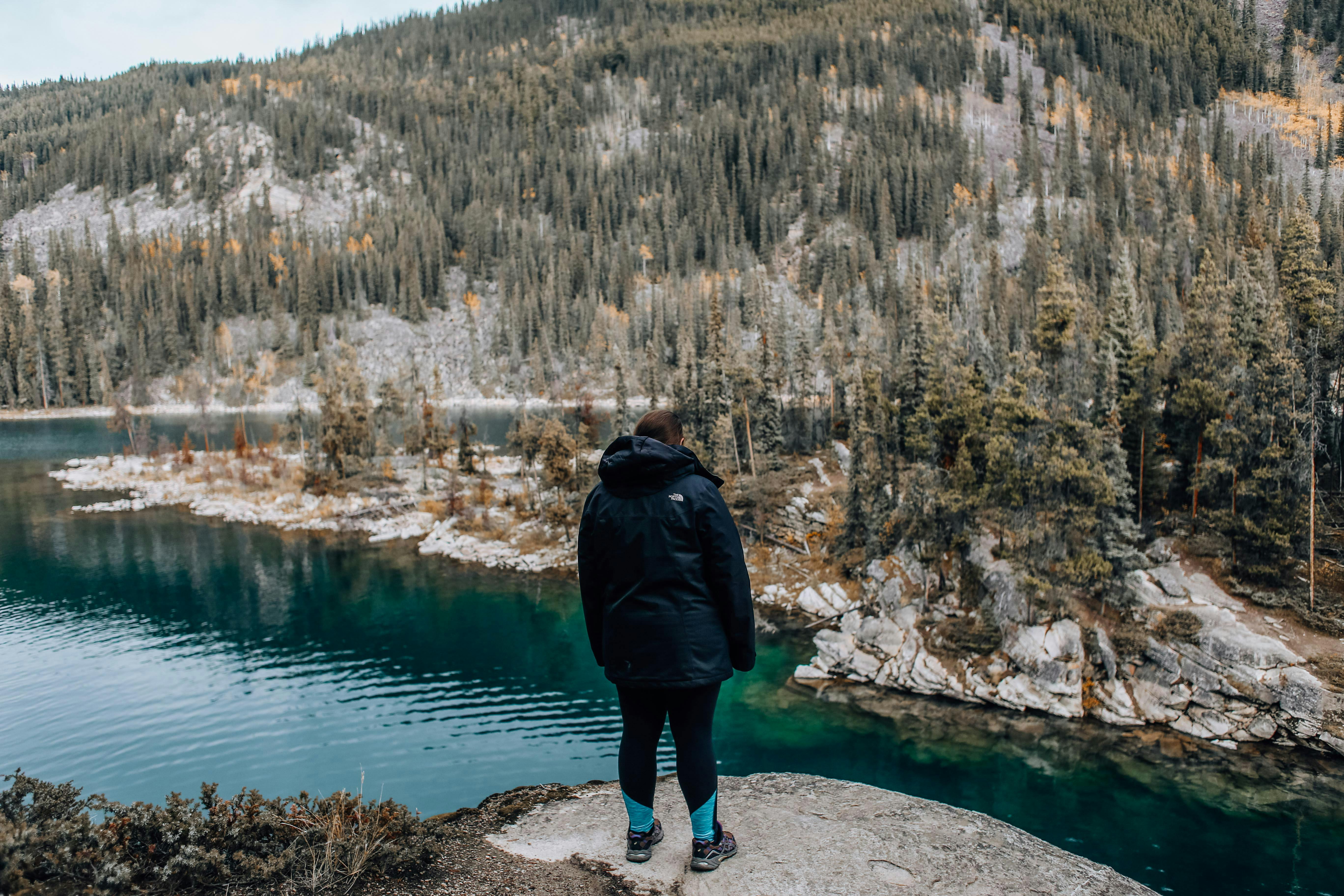 Person in Black Jacket Standing on Cliff Near Lake · Free Stock Photo