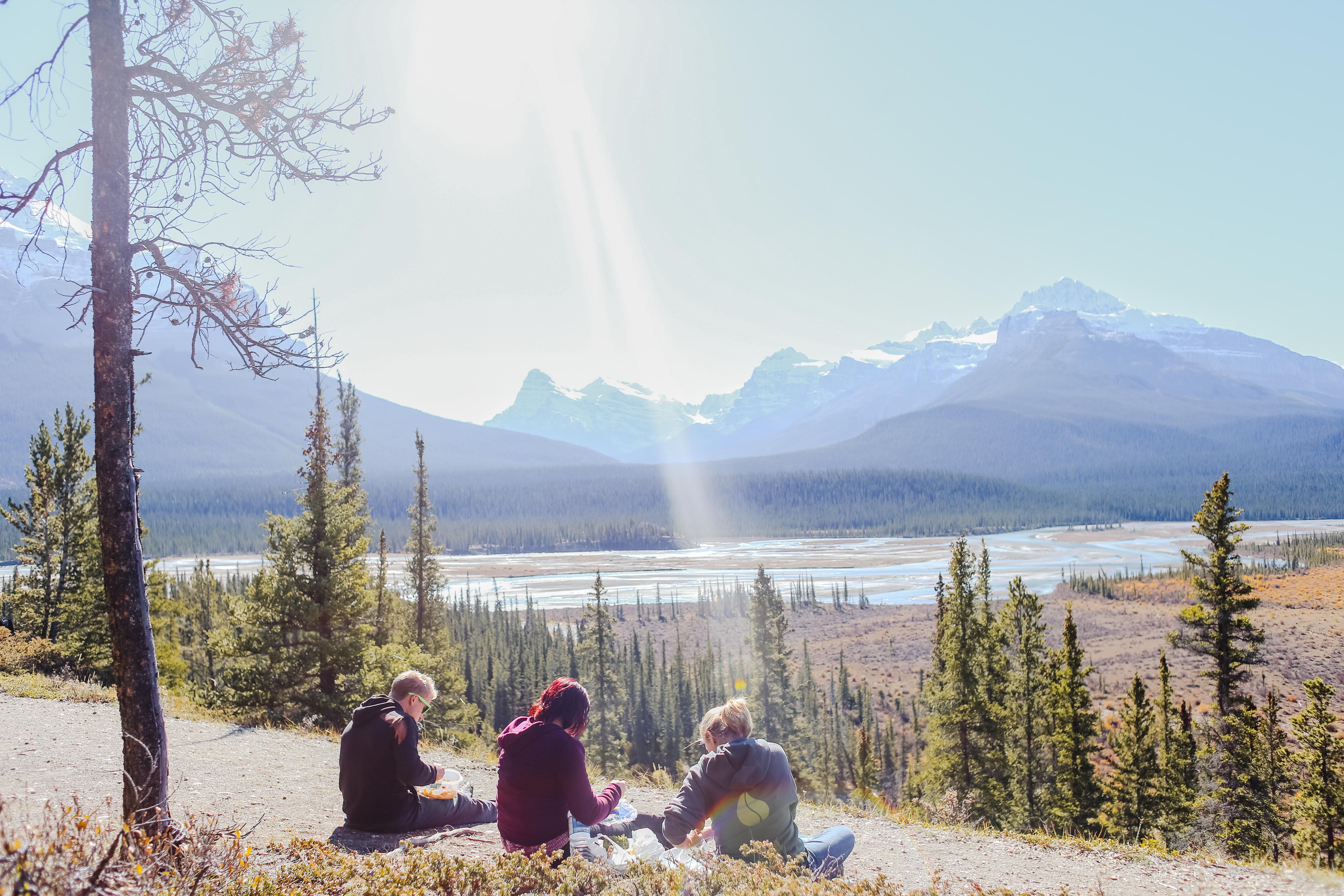 People Sitting on Ground Near Trees and Mountains · Free Stock Photo