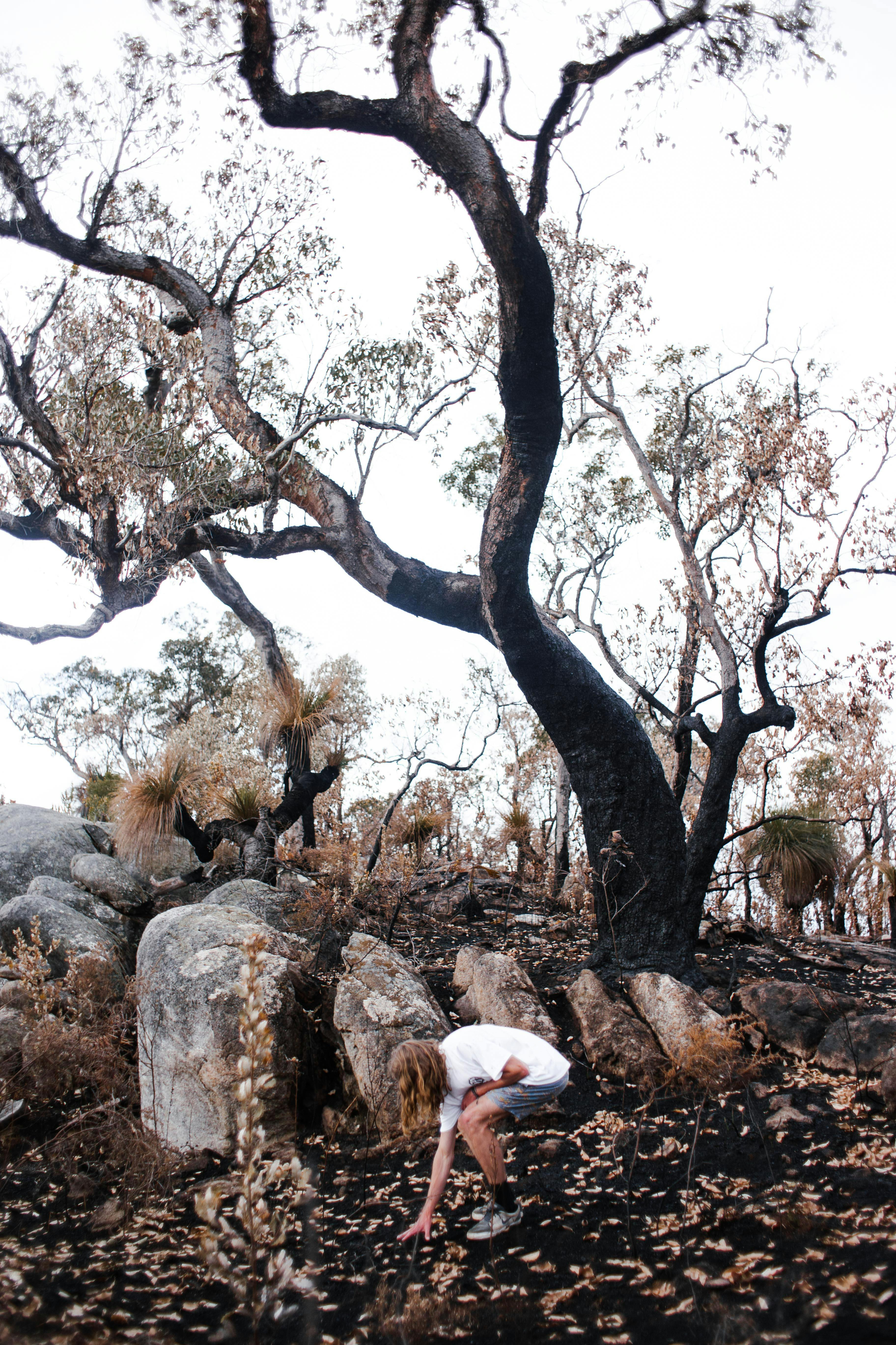 A Person Touching the Ground · Free Stock Photo