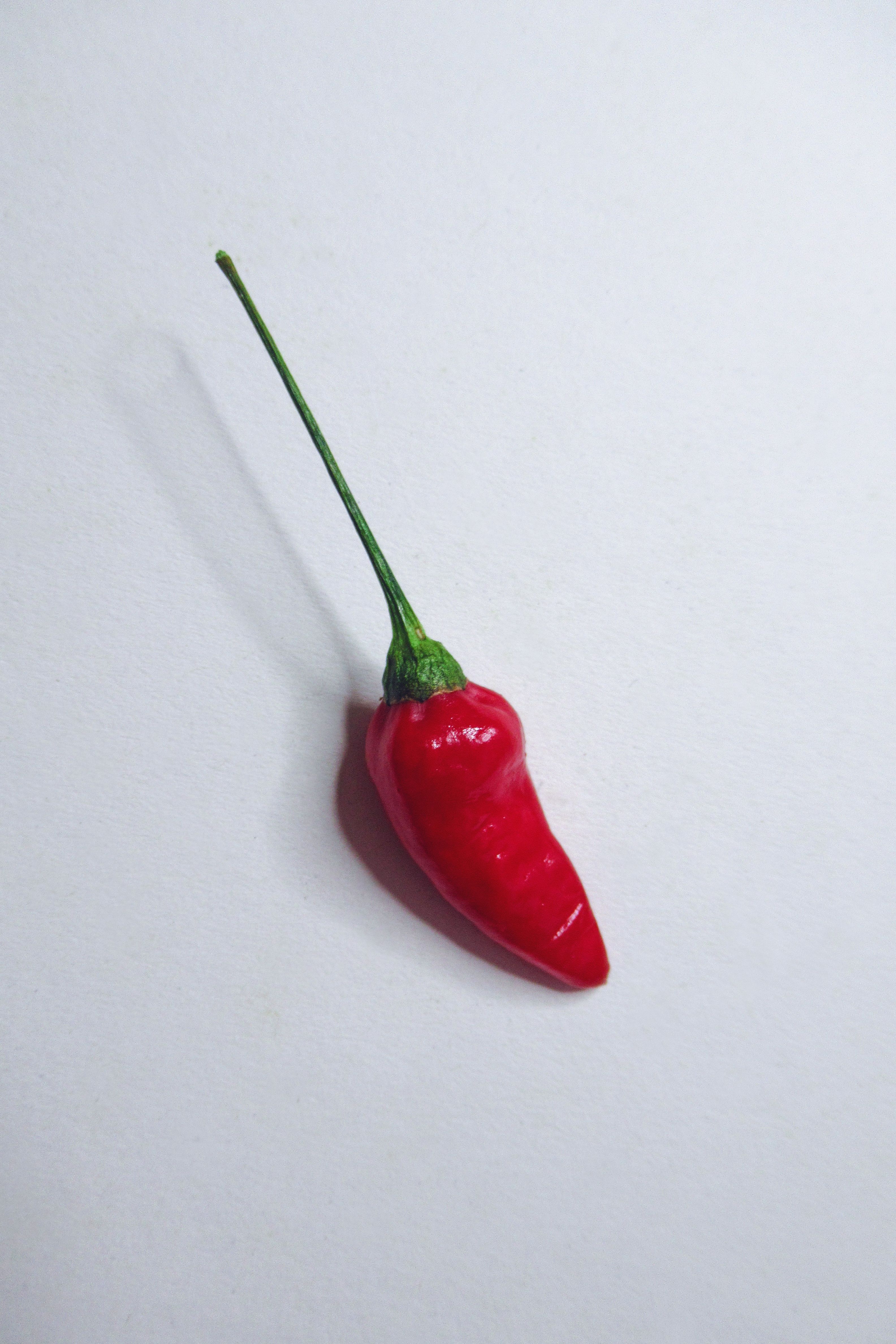 Single Chili Photos, Download The BEST Free Single Chili Stock Photos ...