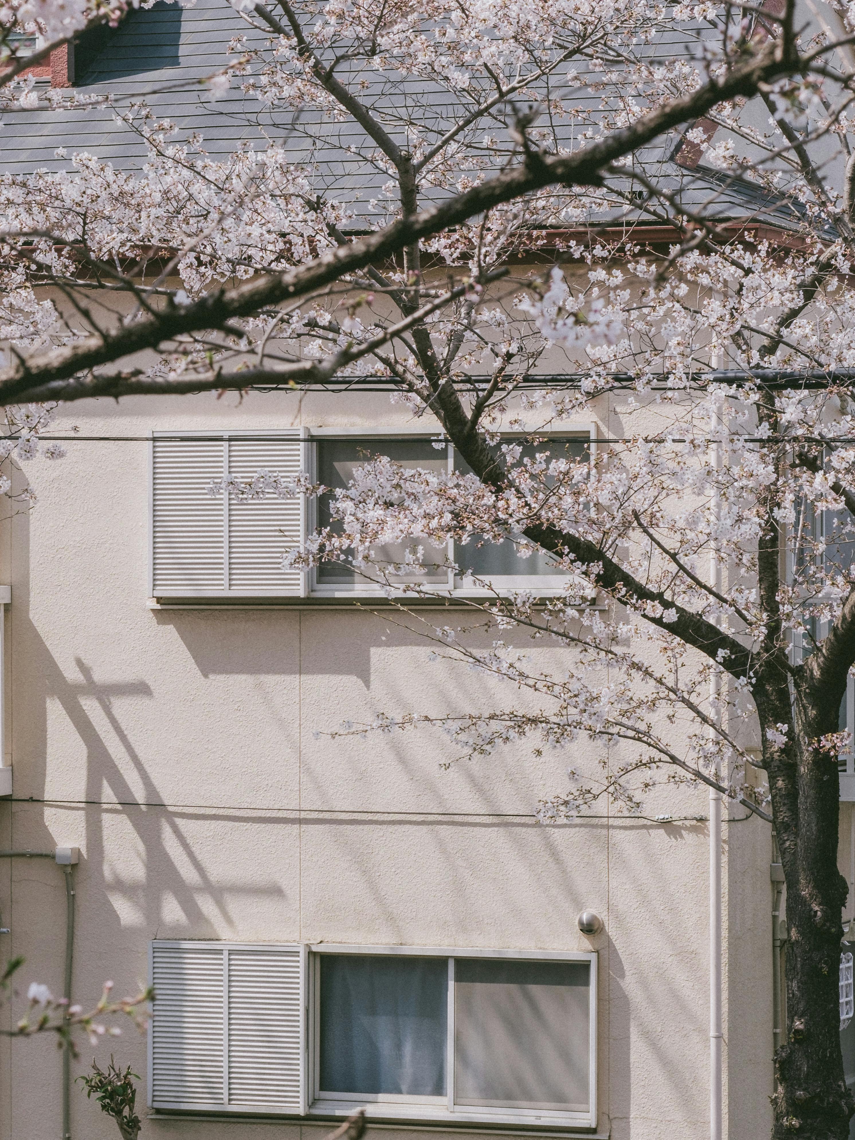 Spring Houses Photos, Download The BEST Free Spring Houses Stock Photos ...