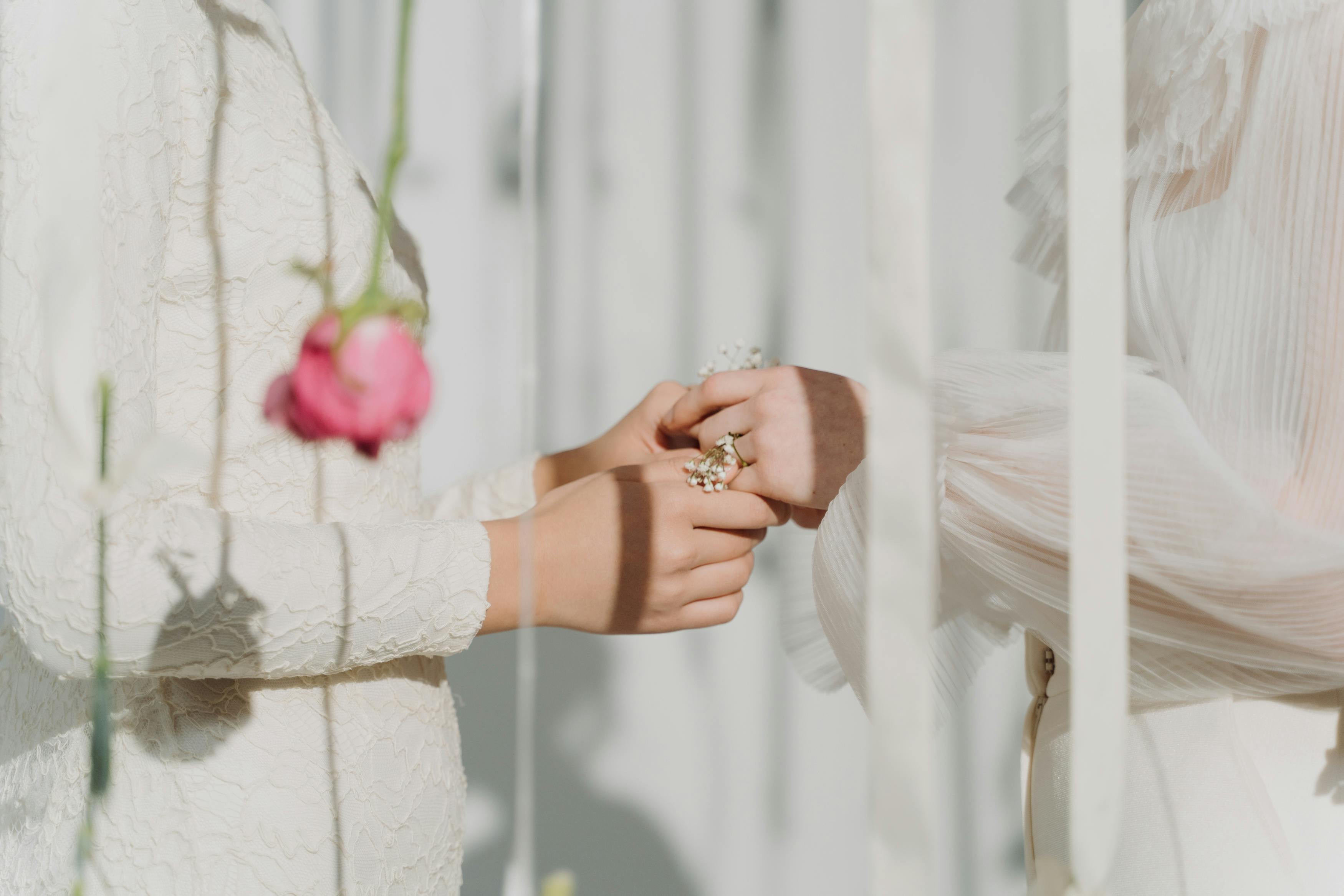 Giving Up Photos, Download The BEST Free Giving Up Stock Photos & HD Images