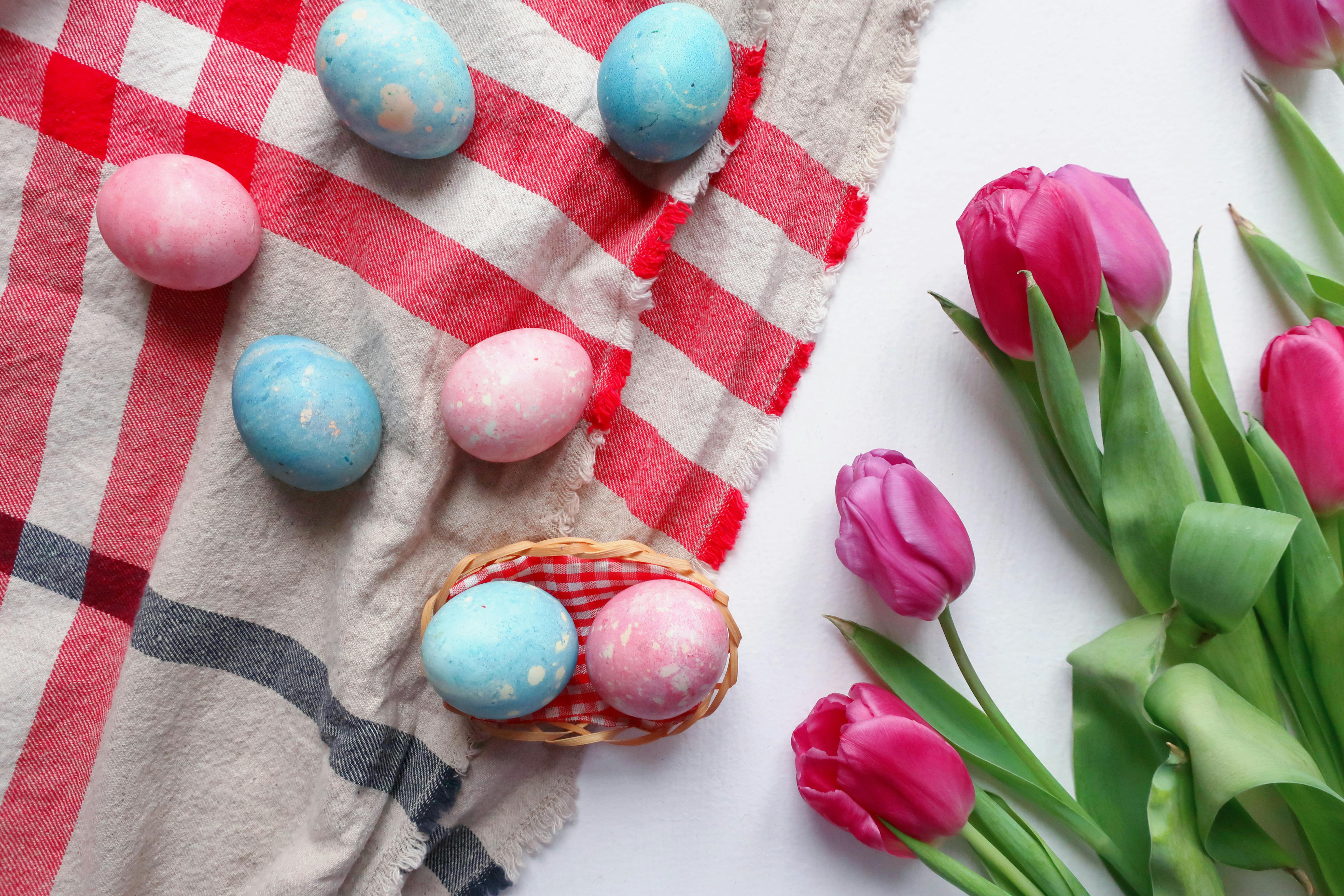 Rust Colored Flowers Photos, Download The BEST Free Rust Colored ...