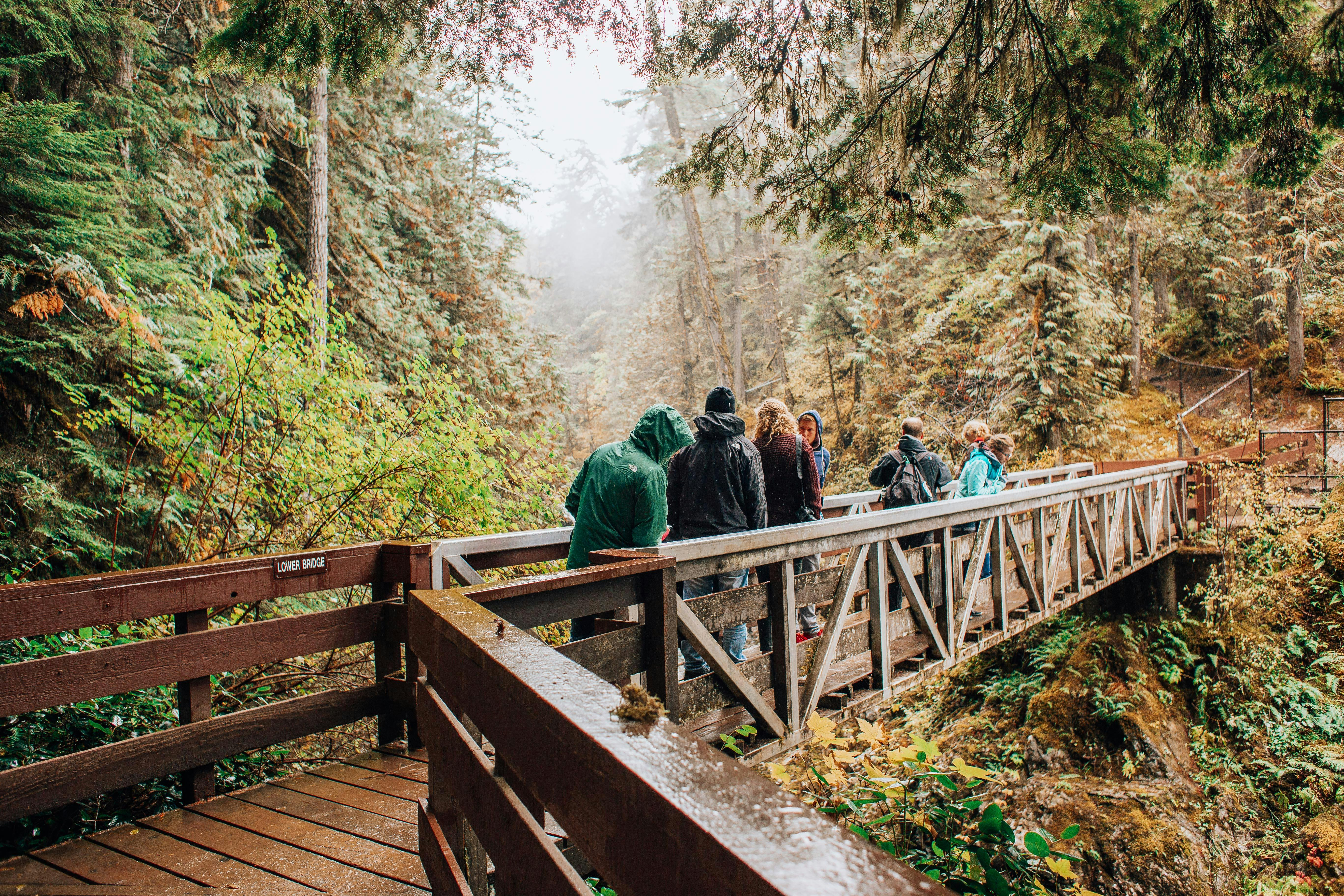 People on Bridge in Forest · Free Stock Photo