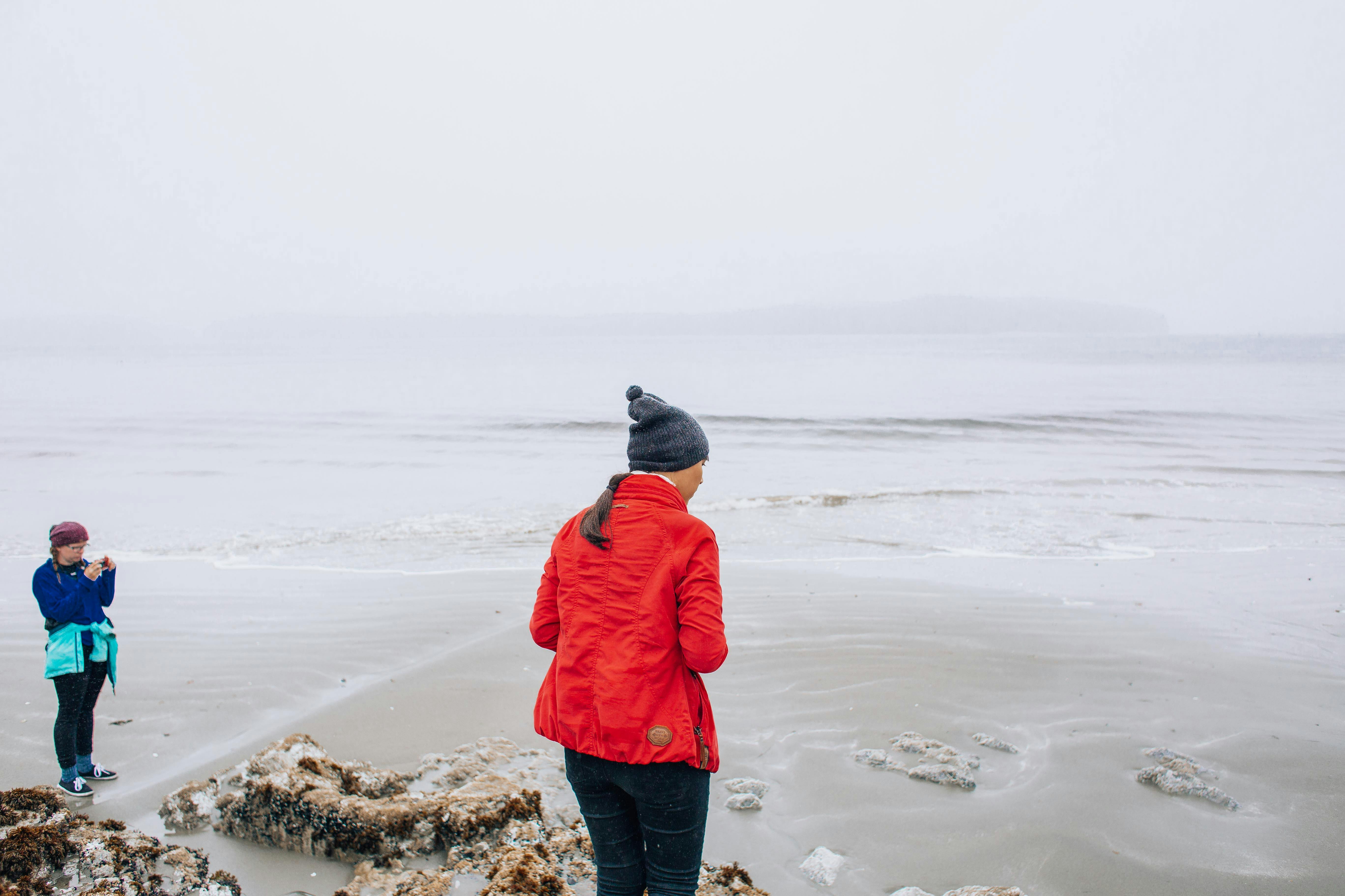 People in Jackets on Beach · Free Stock Photo