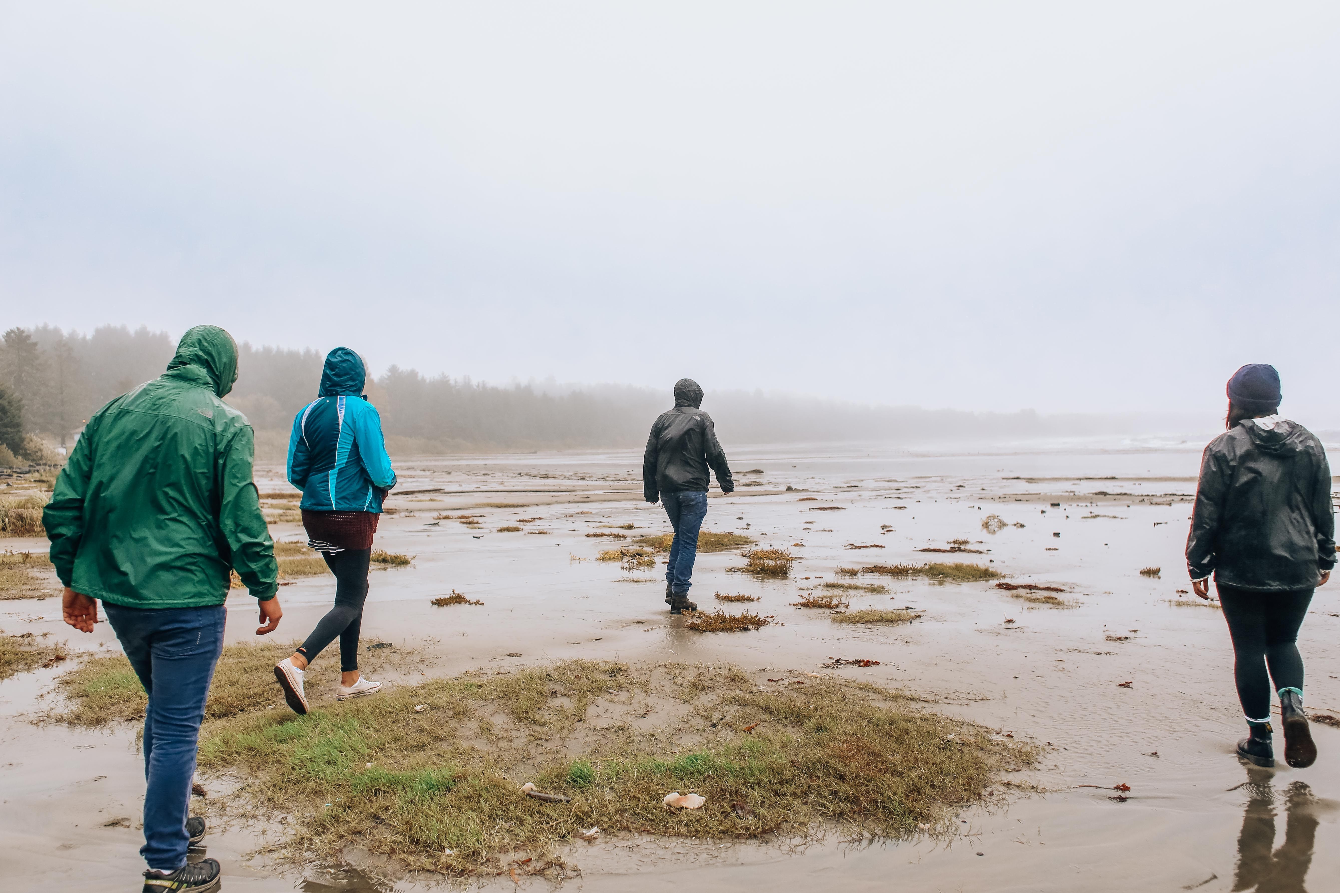 People Walking Near Seashore · Free Stock Photo