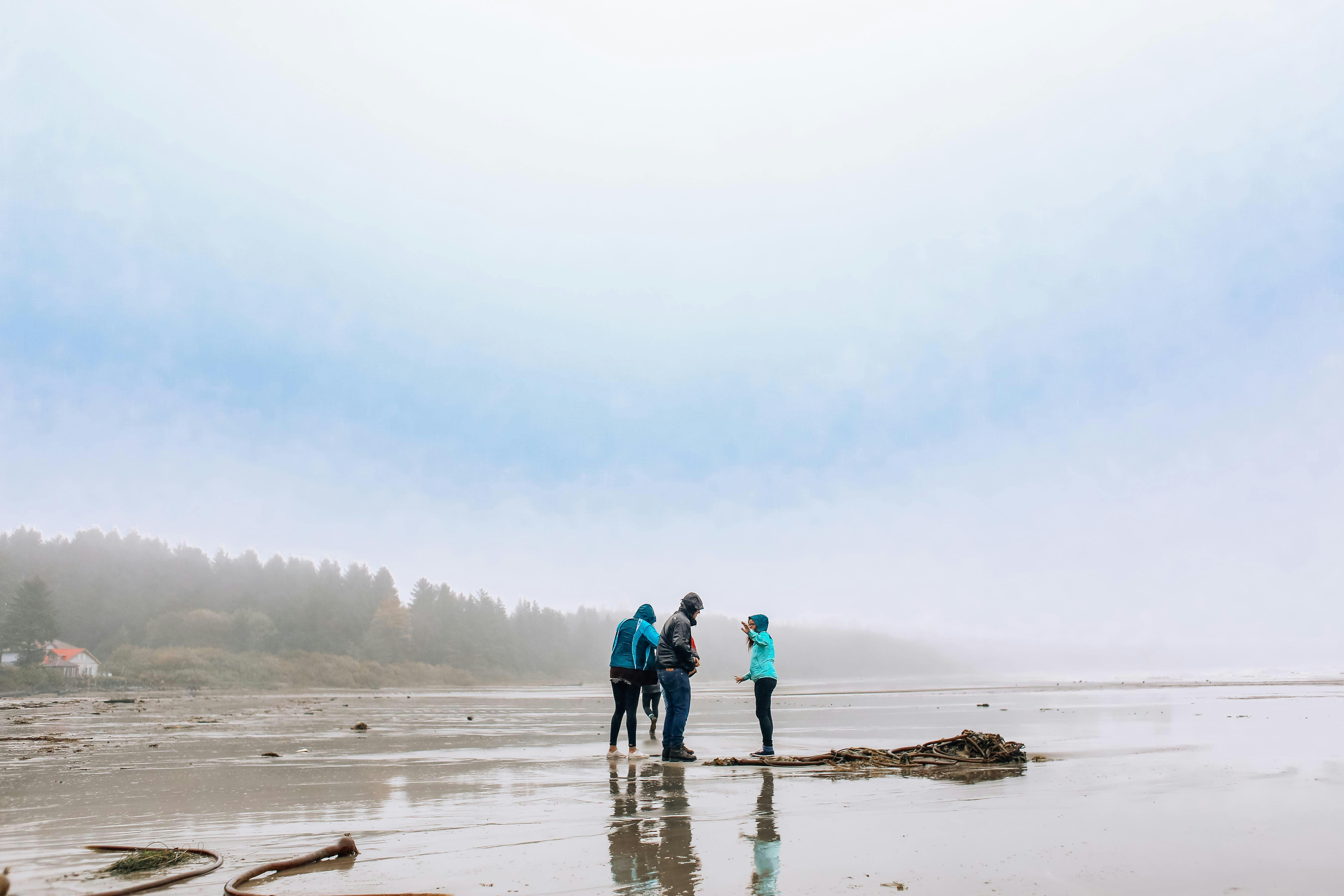 Talking Mist Photos, Download The BEST Free Talking Mist Stock Photos ...