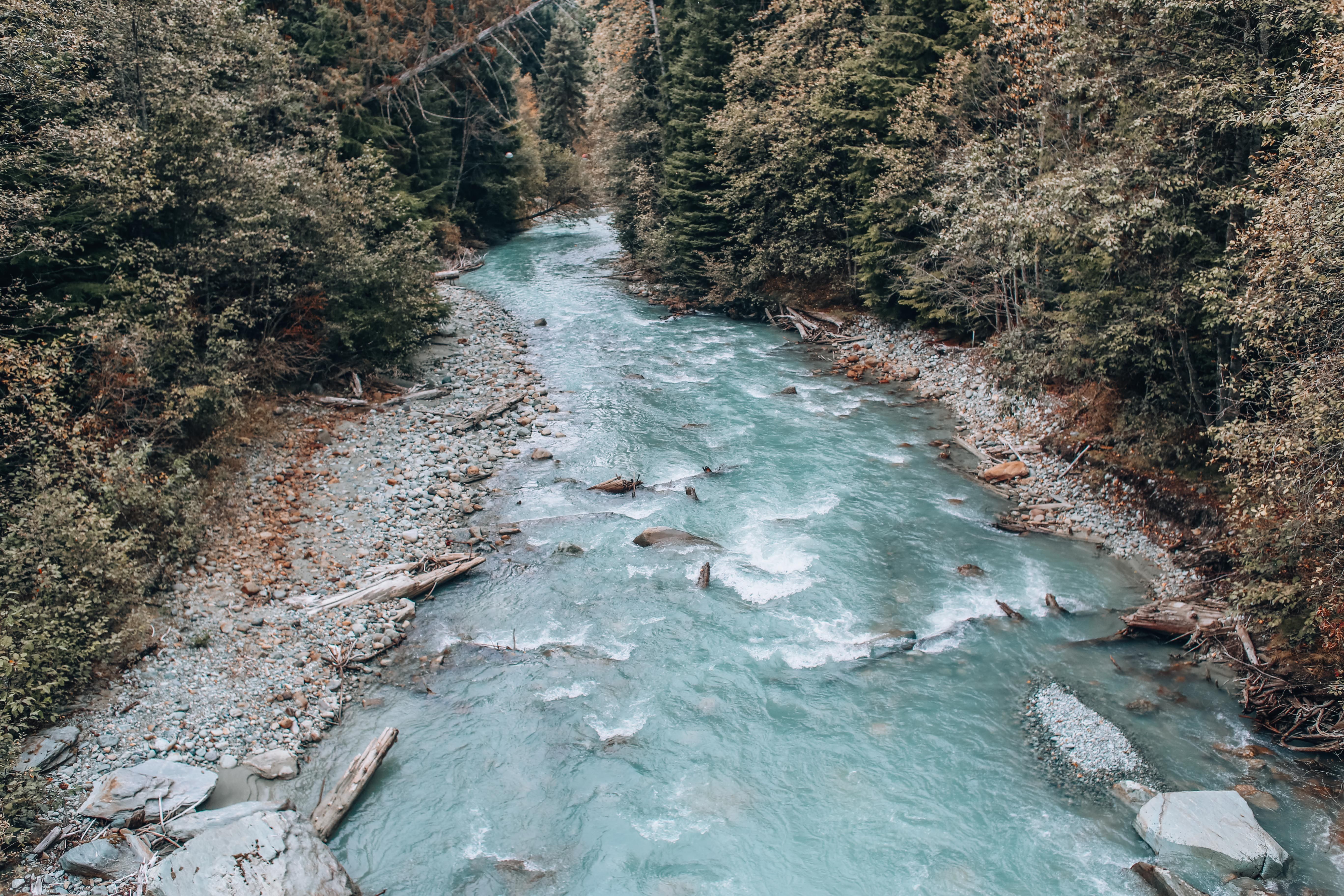 Bodies Of Water Green Nature Photos, Download The BEST Free Bodies Of ...