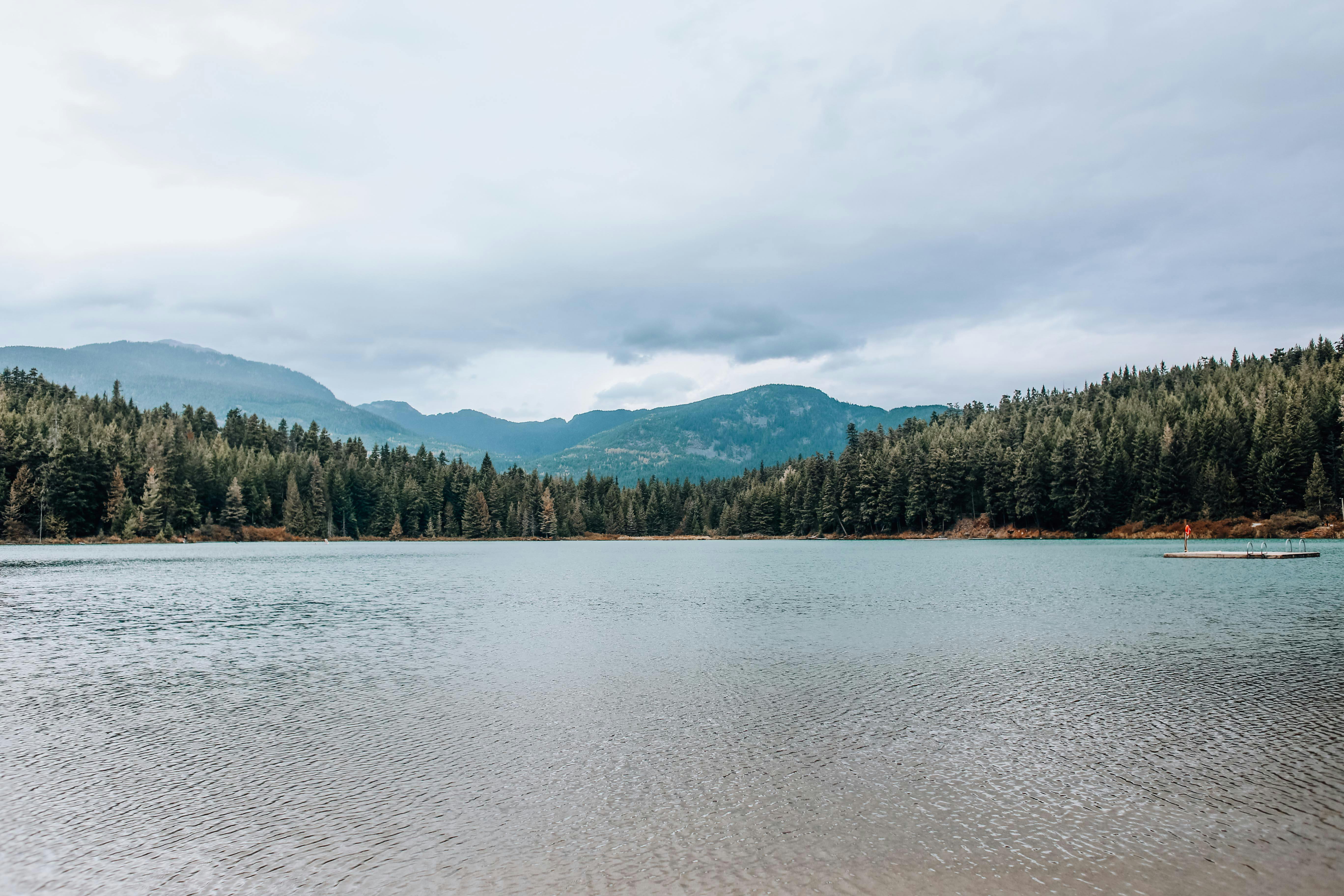 A Scenic Shot of a Body of Water in the Wilderness · Free Stock Photo