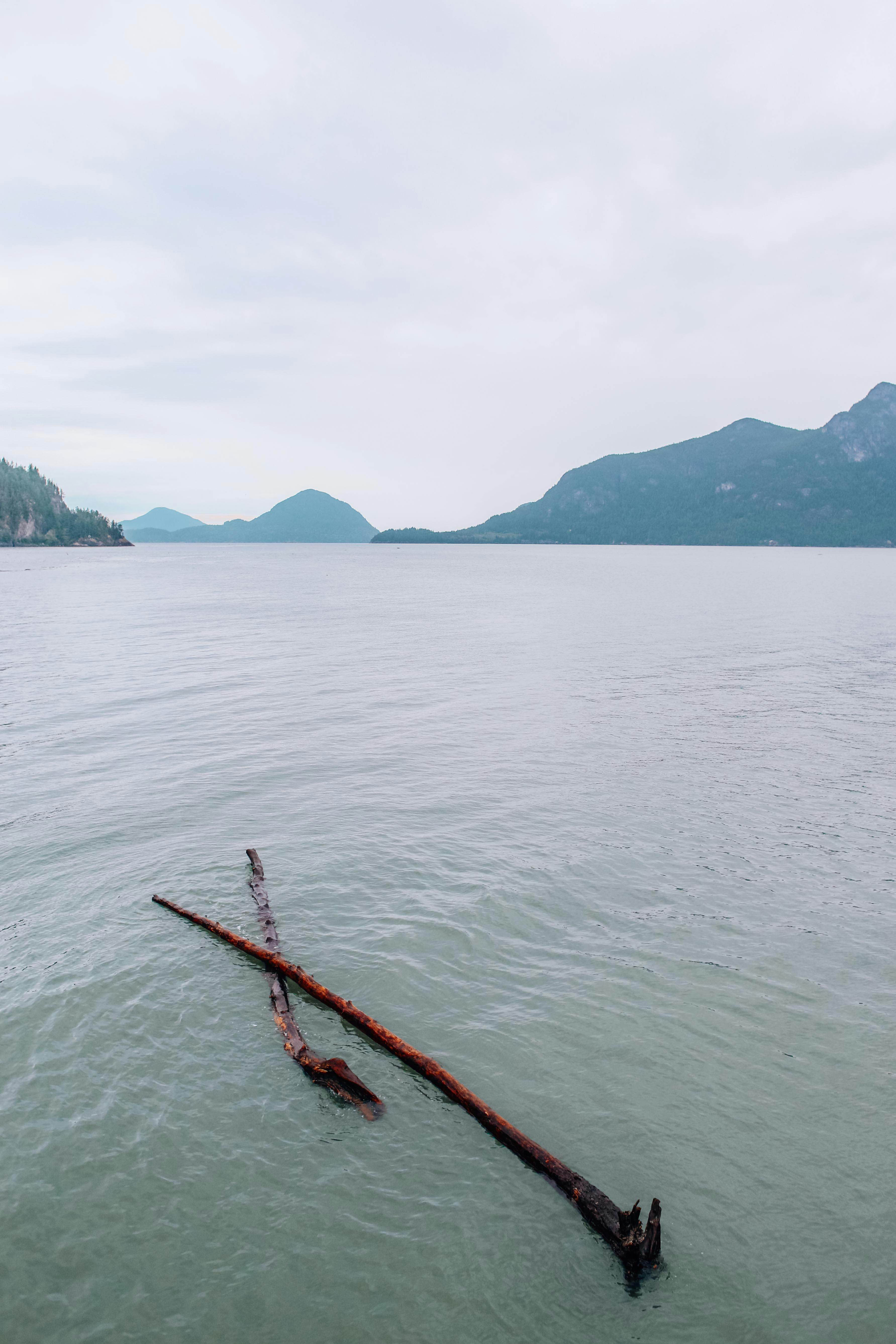 Log Floating Photos, Download The BEST Free Log Floating Stock Photos ...