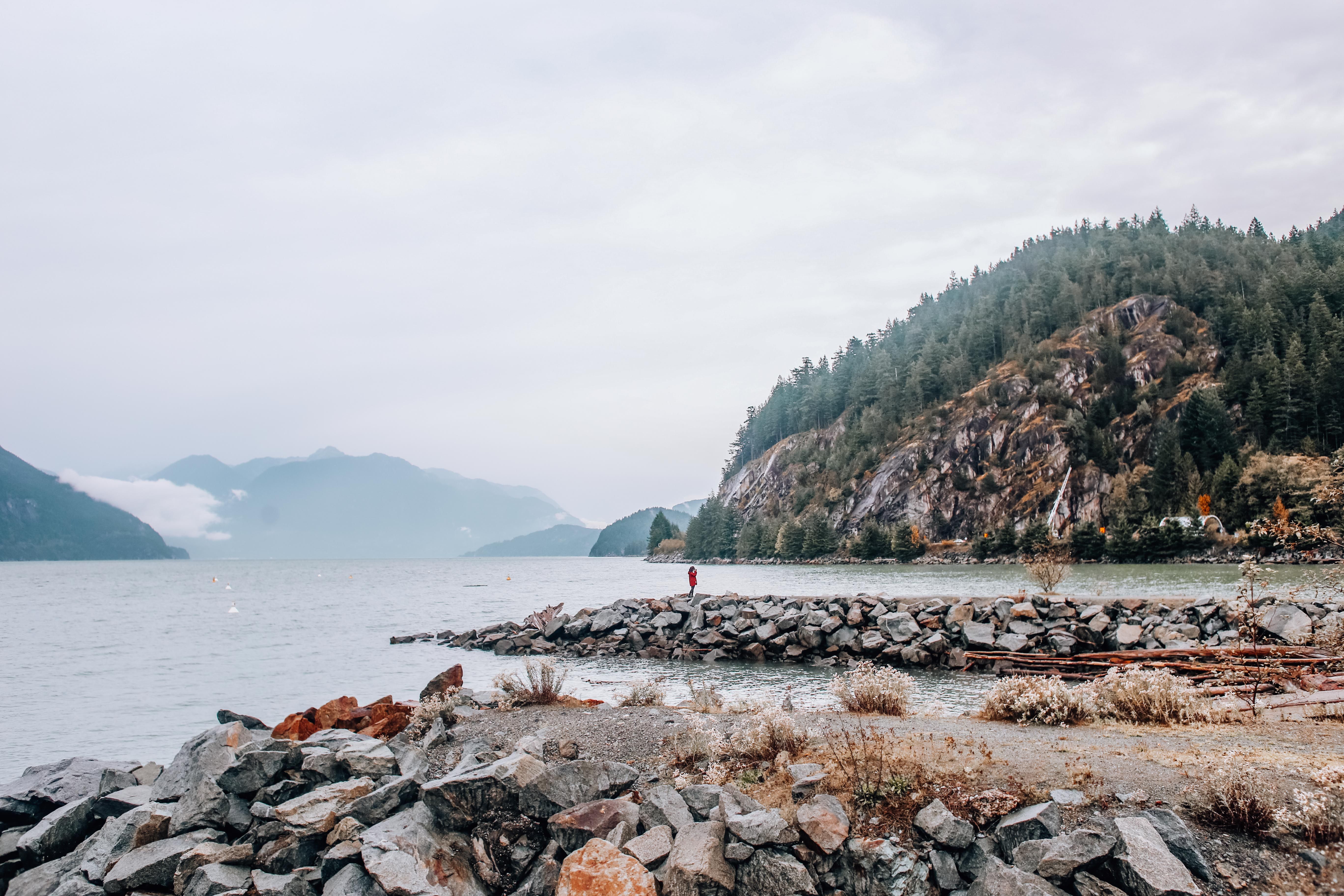 A Person Standing Outdoors near a Body of Water · Free Stock Photo