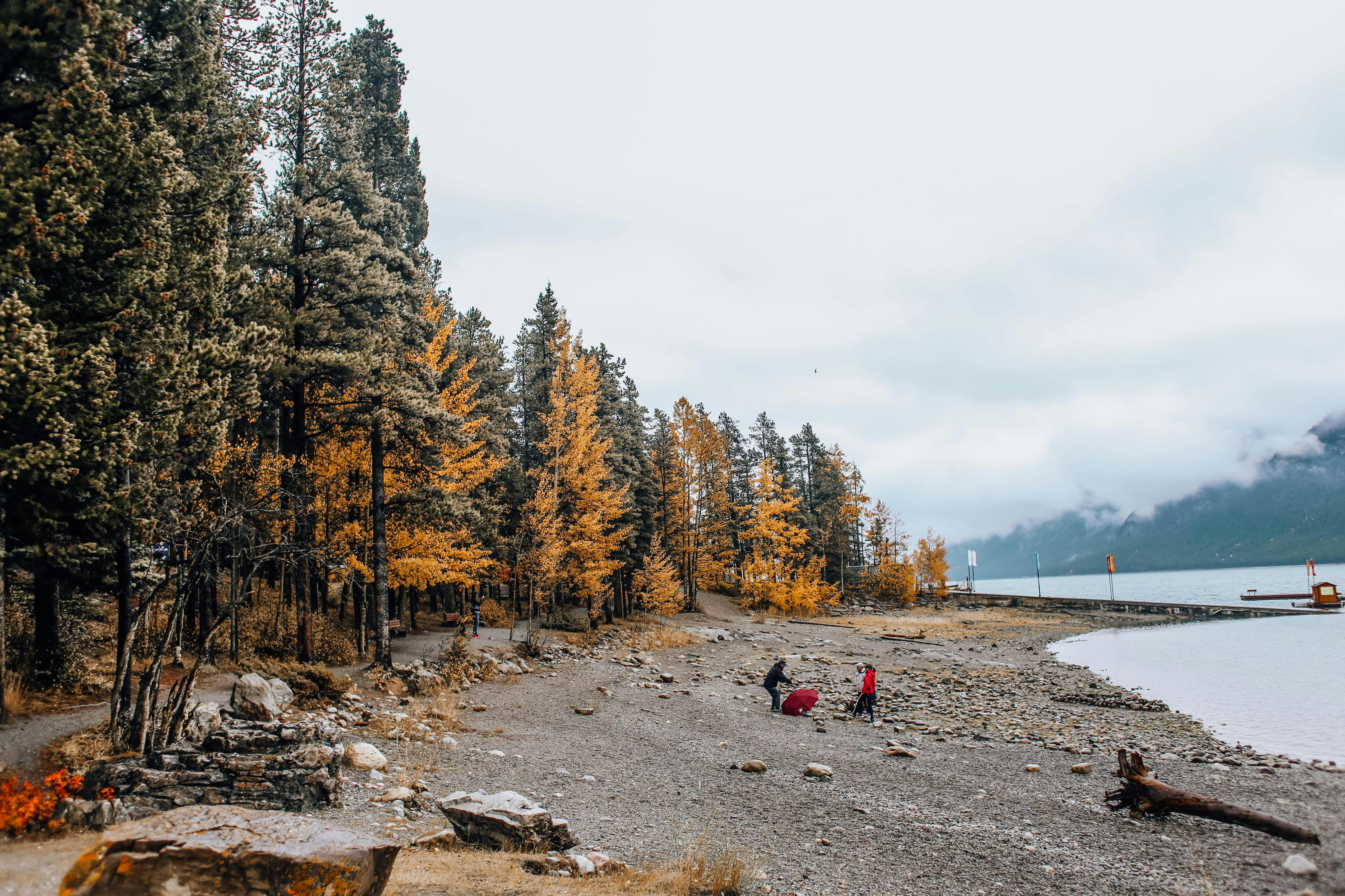 People on Lakeshore in Autumn · Free Stock Photo