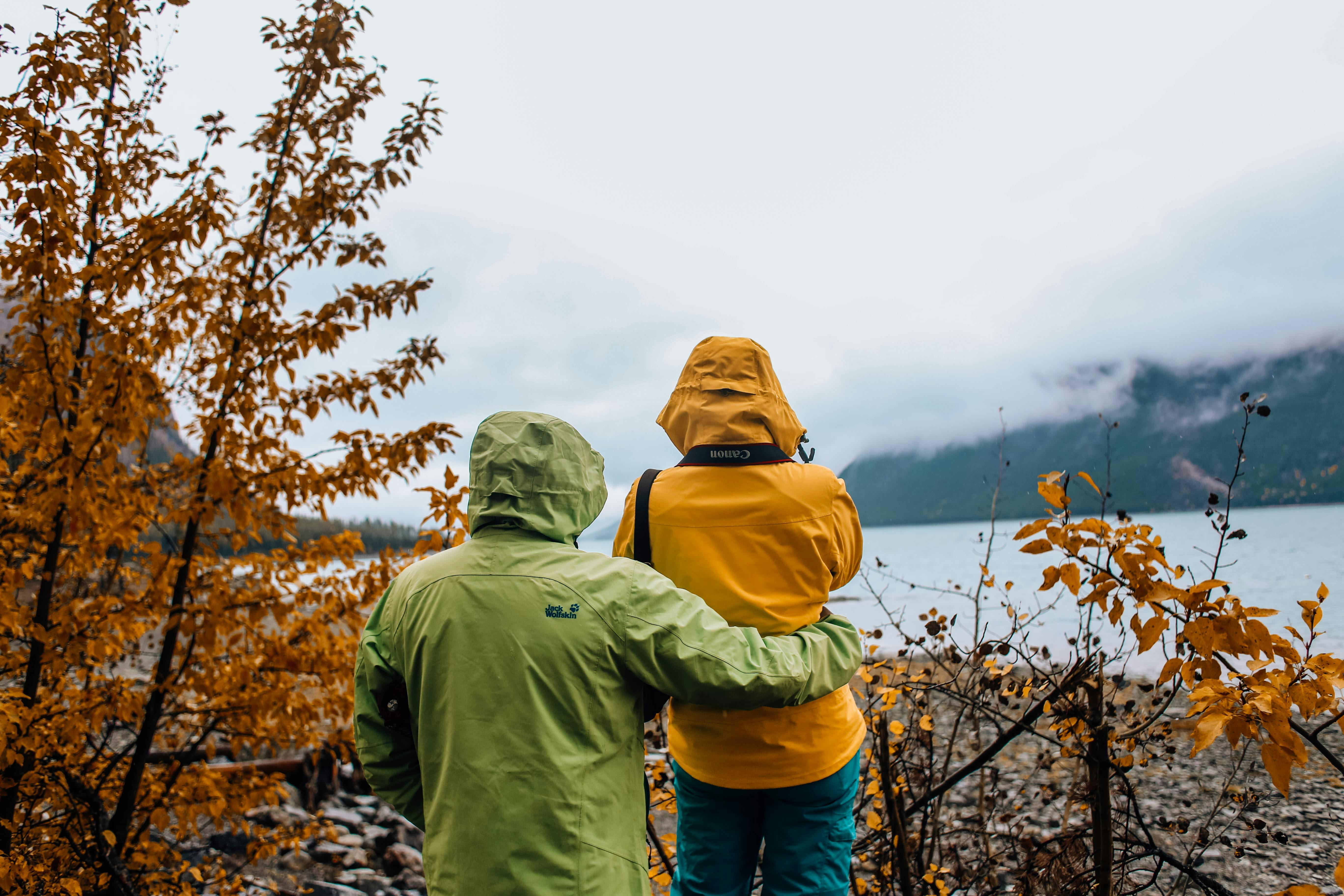 Modem Unplug Photos Photos, Download The BEST Free Modem Unplug Photos ...