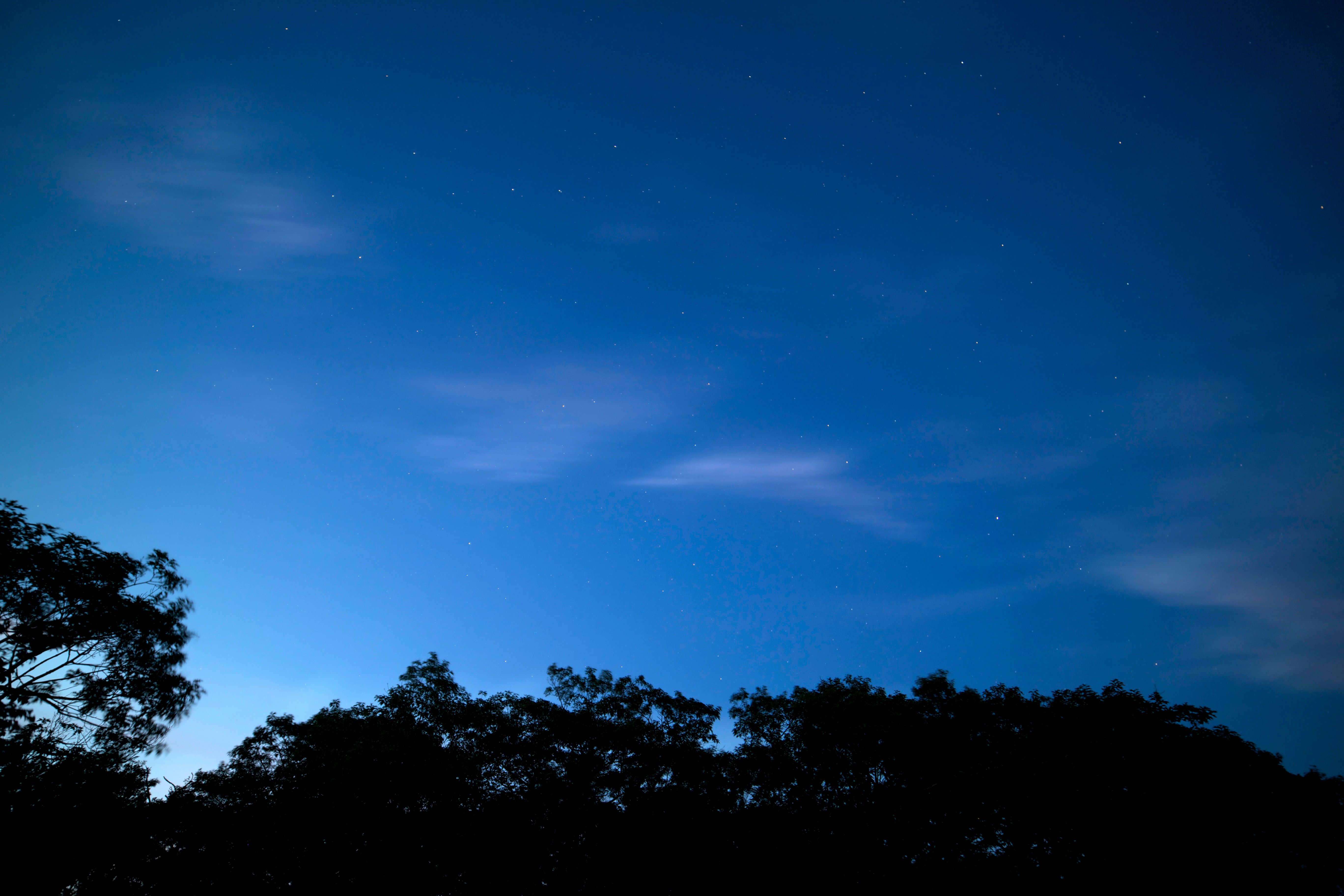 Kostenloses Foto zum Thema: himmel, nacht, sterne