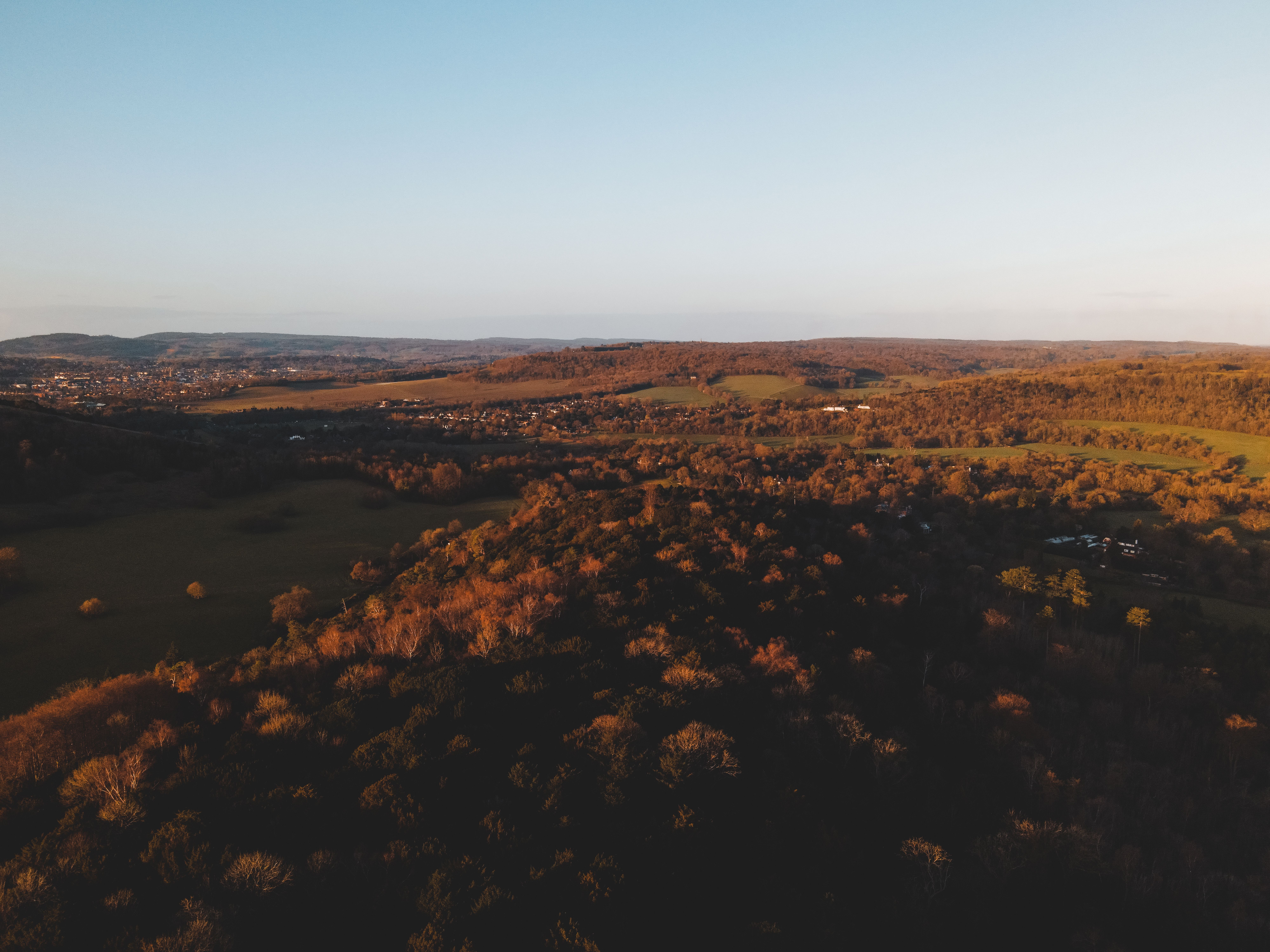 Aerial View of Brown Leaf Forest and Horizon · Free Stock Photo