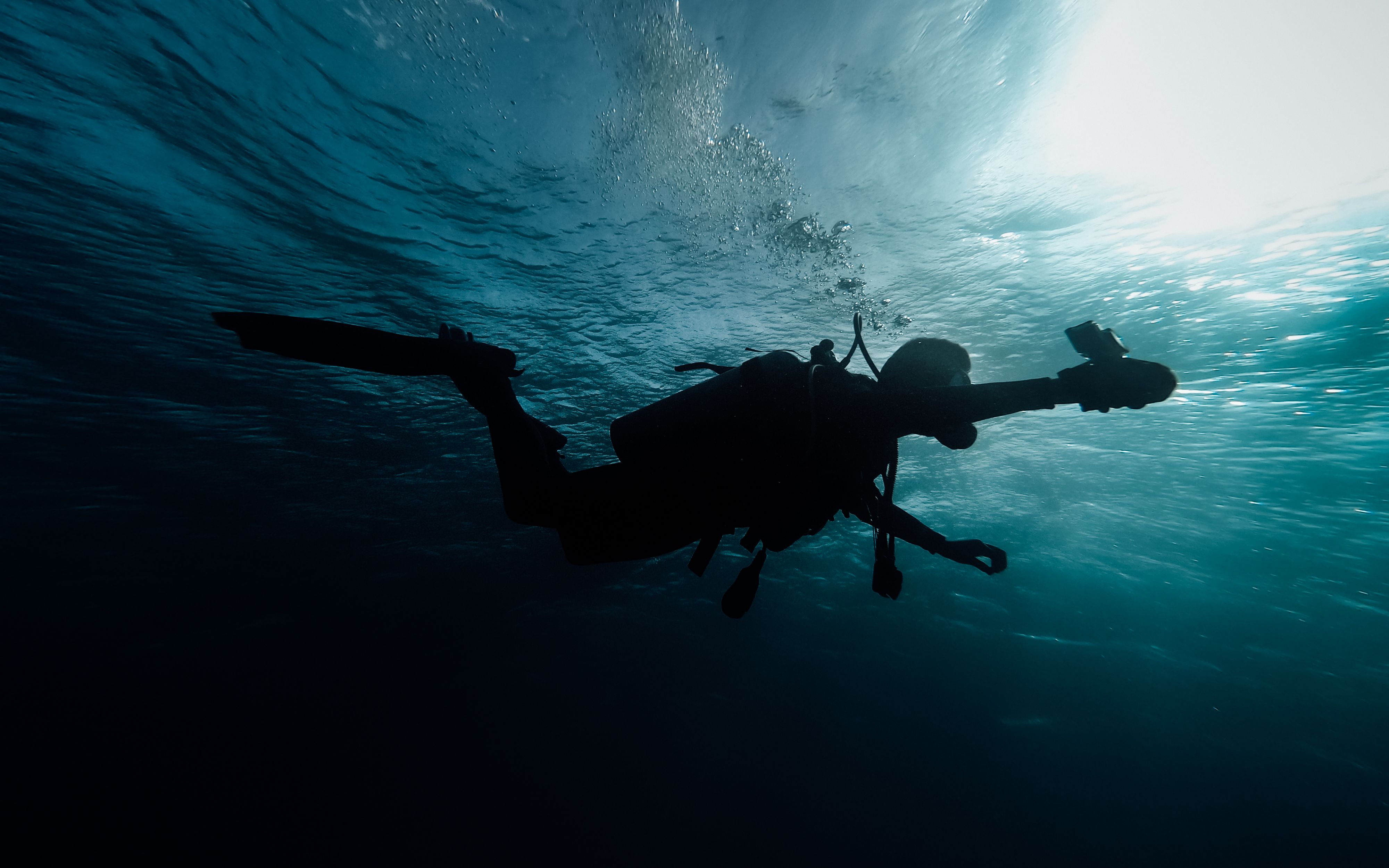 Diver in deep blue water · Free Stock Photo