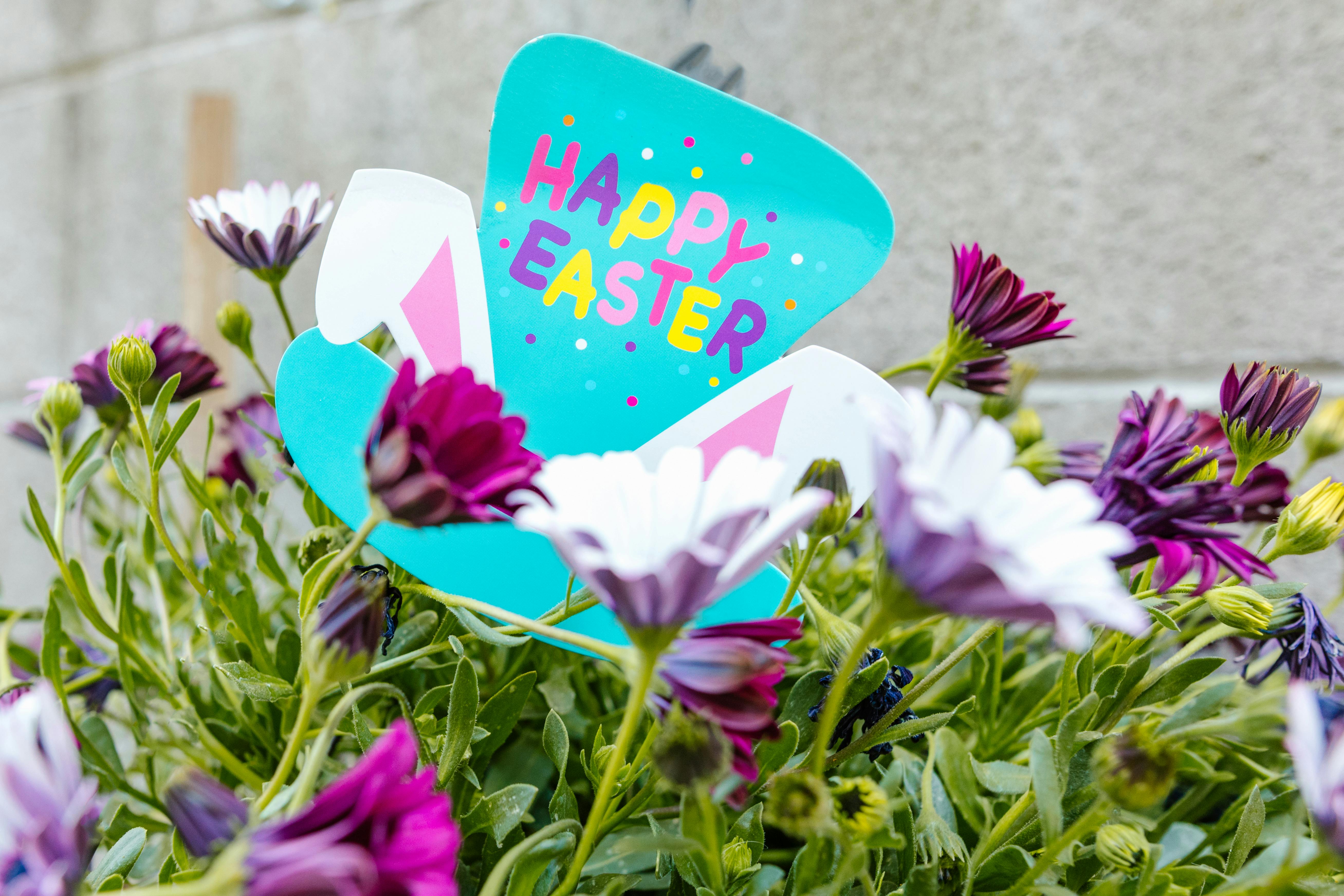 9,000+ Best Good Friday Photos · 100% Free Download · Pexels Stock Photos