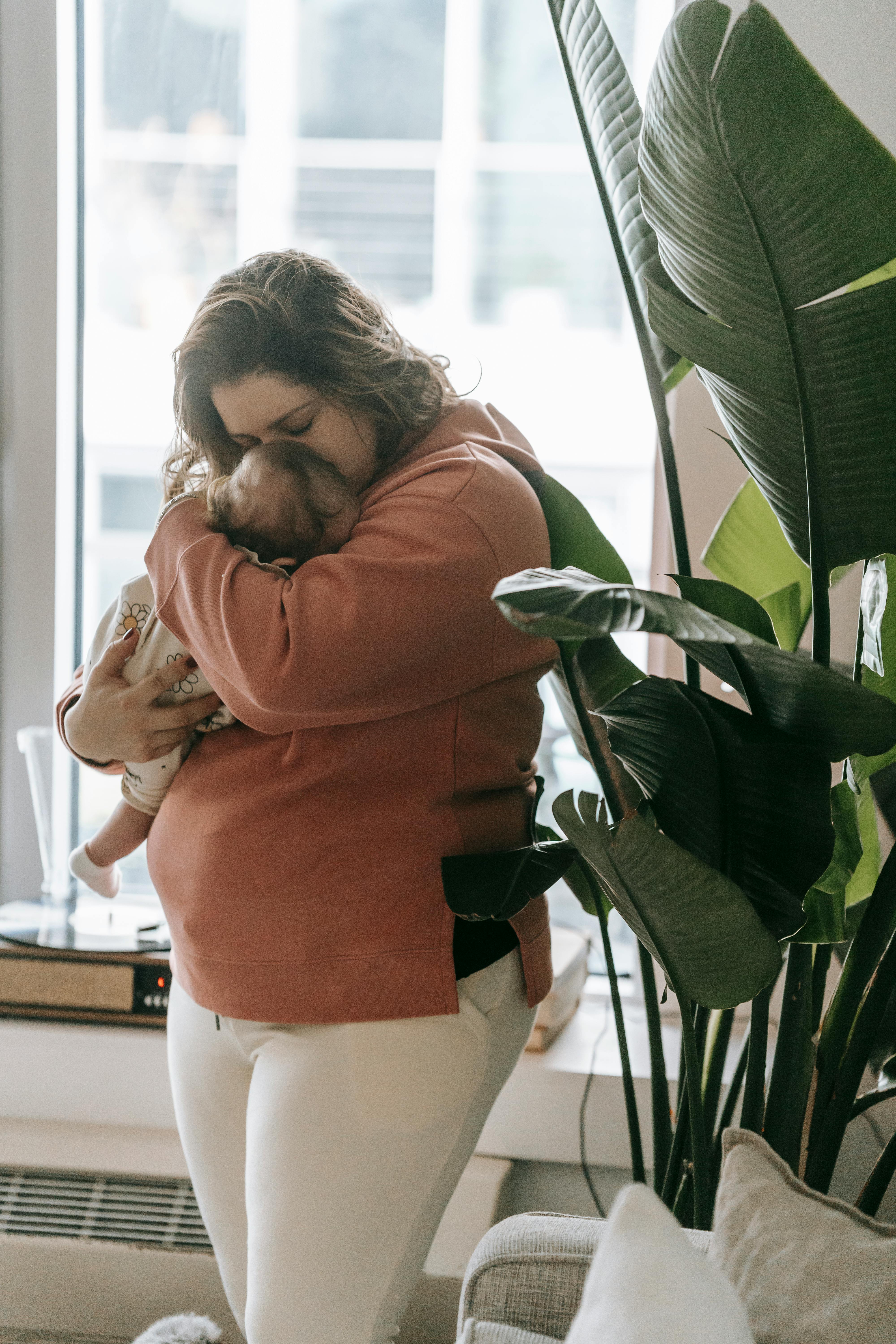 Piture+Plant Photos, Download The BEST Free Piture+Plant Stock Photos ...