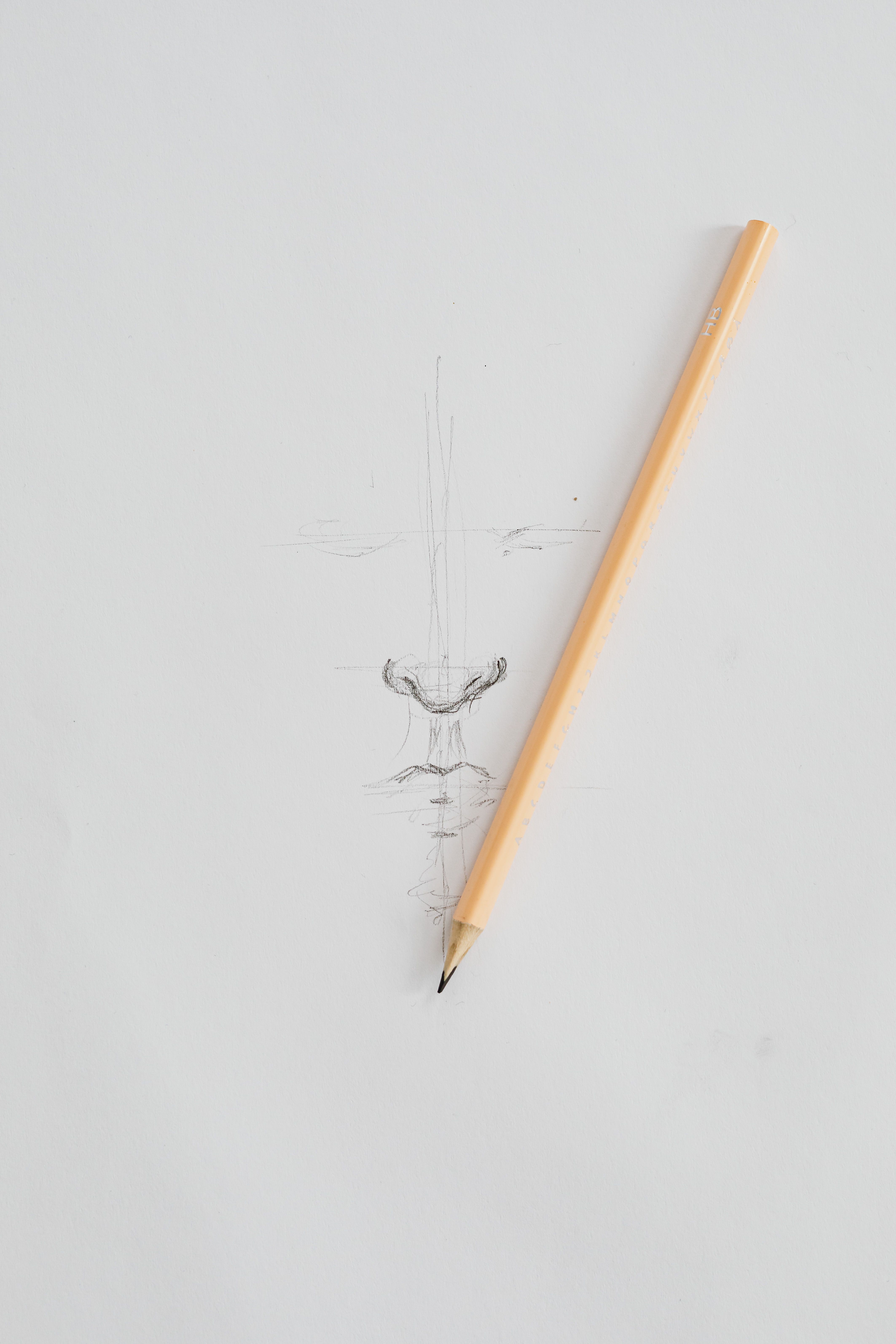 Outline Drawing Photos, Download The BEST Free Outline Drawing Stock ...