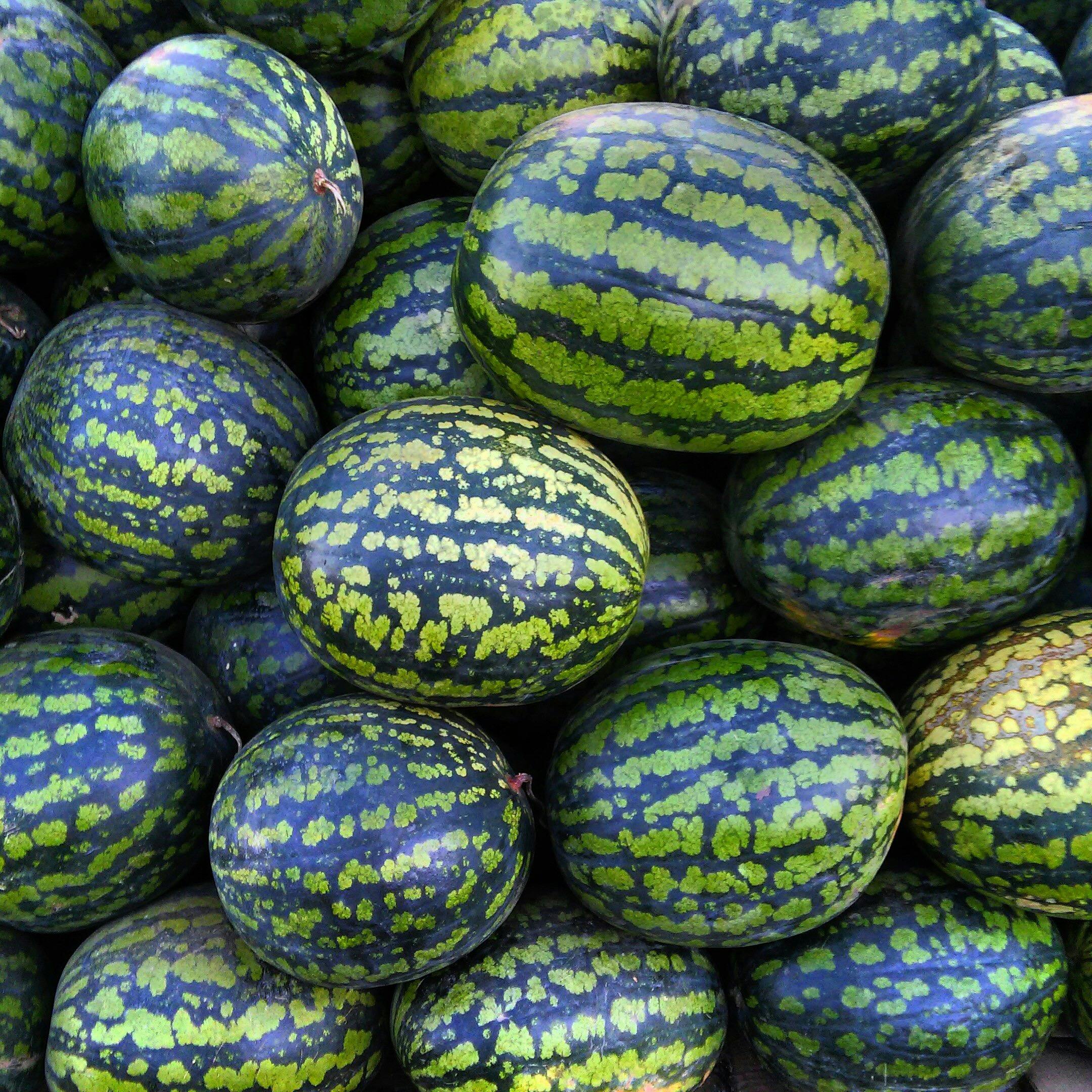 Green Piled Watermelon · Free Stock Photo