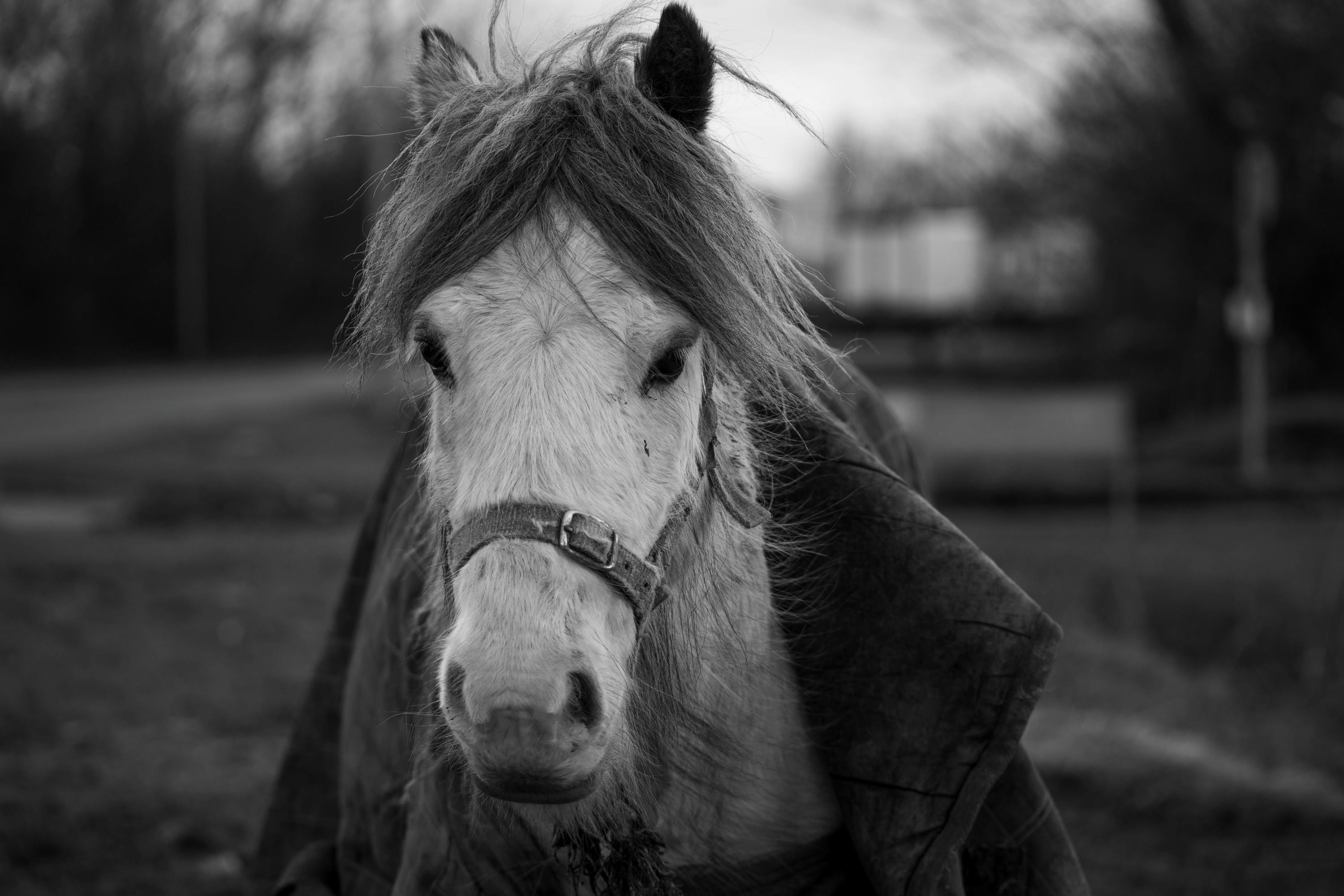 2,628+ Best Free Chained Stock Photos & Images · 100% Royalty-Free HD ...