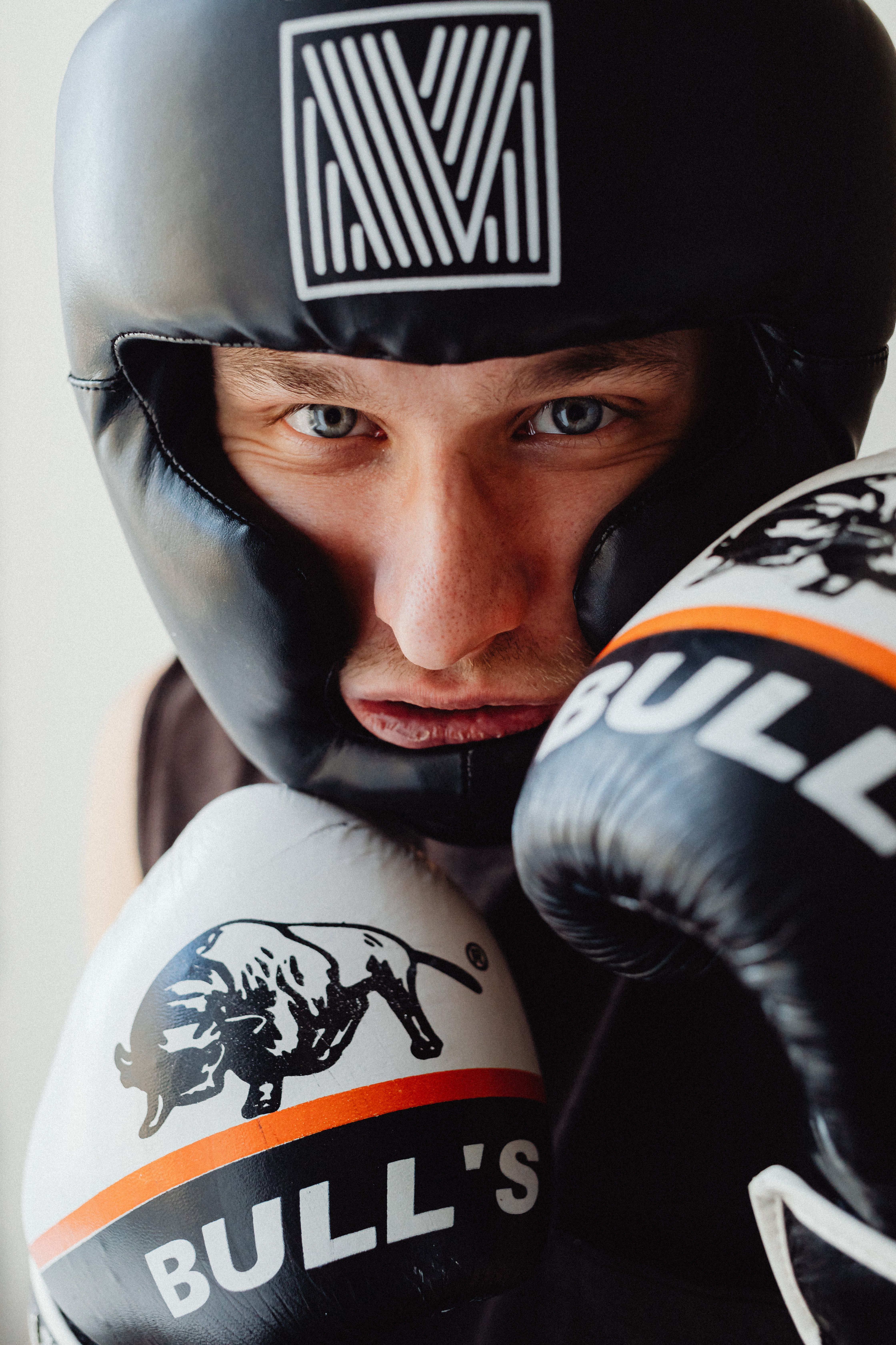 Boxer Portrait Photos, Download The BEST Free Boxer Portrait Stock ...