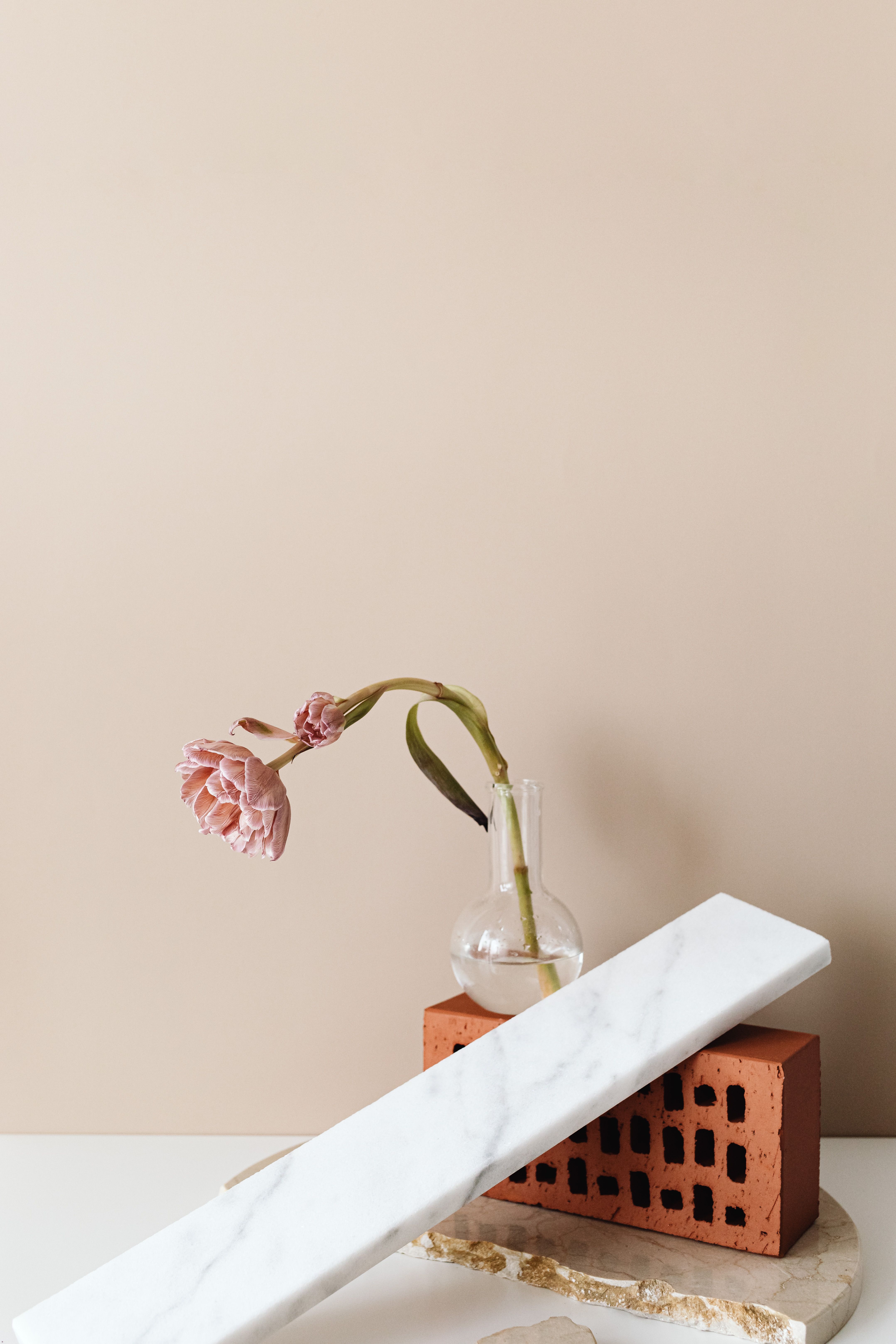 A Vase with a Flower on a Brick · Free Stock Photo