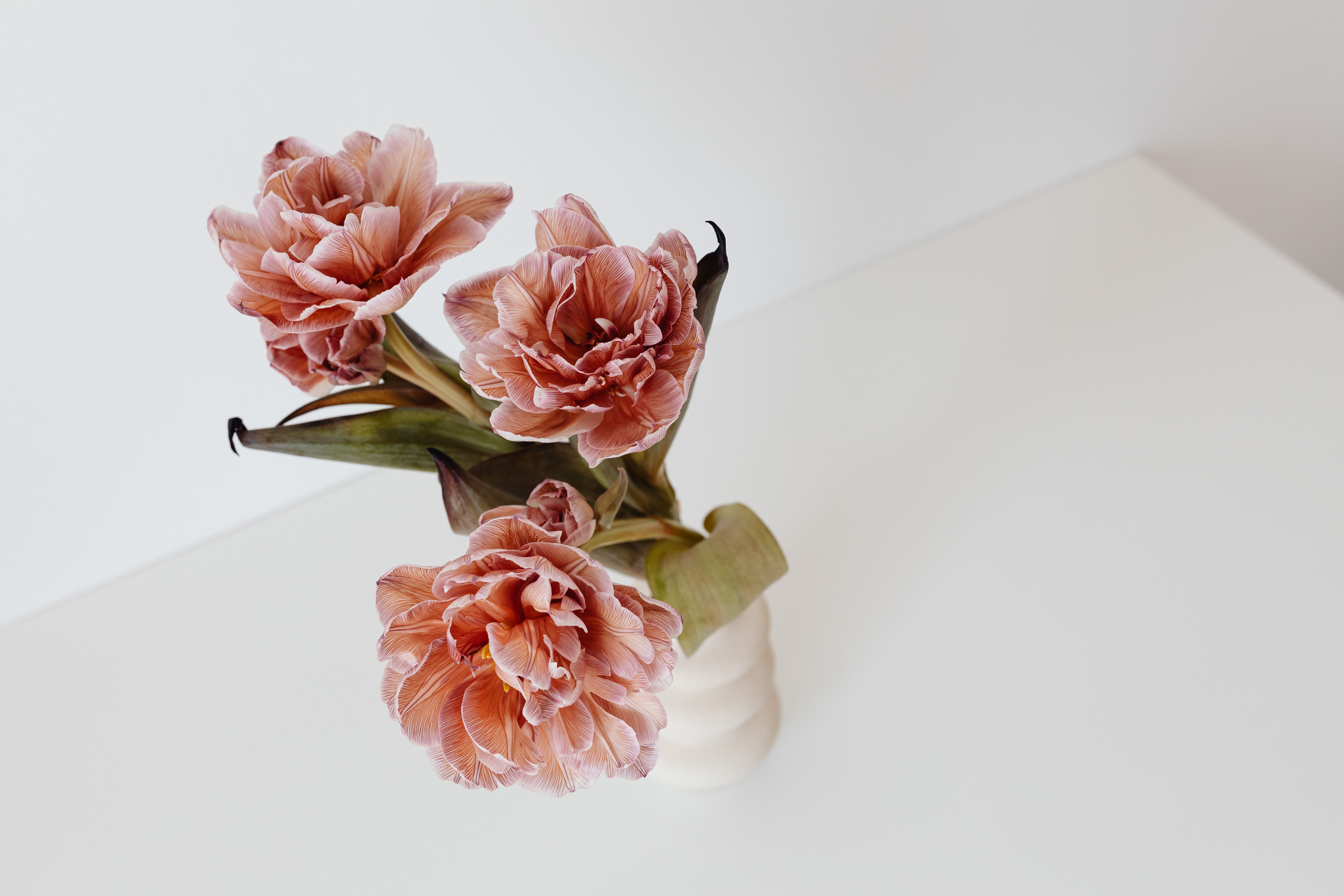 90,000+ Best Vase Of Flowers Photos · 100% Free Download · Pexels Stock ...