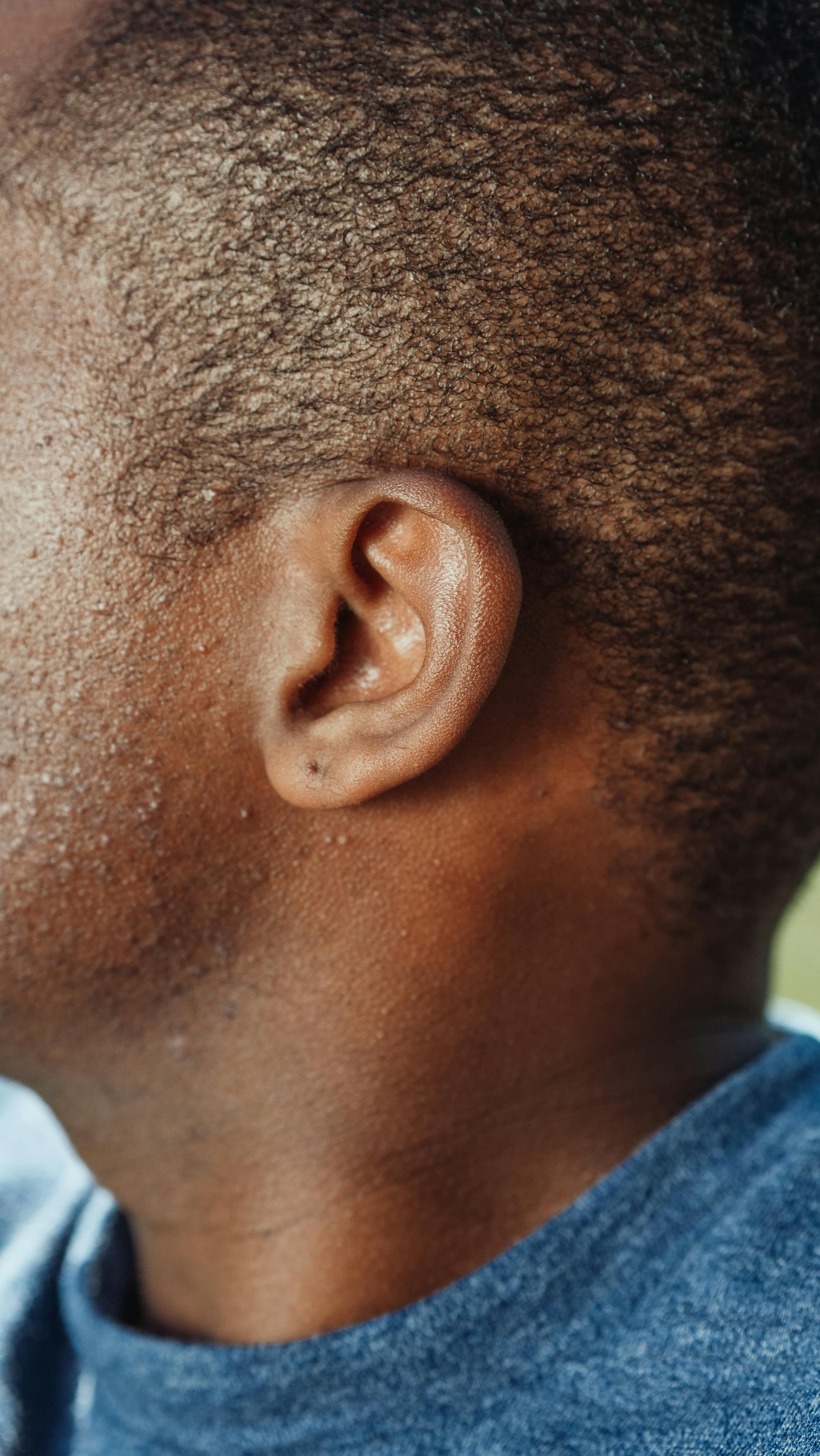 1,000+ Best Ear Photos · 100% Free Download · Pexels Stock Photos