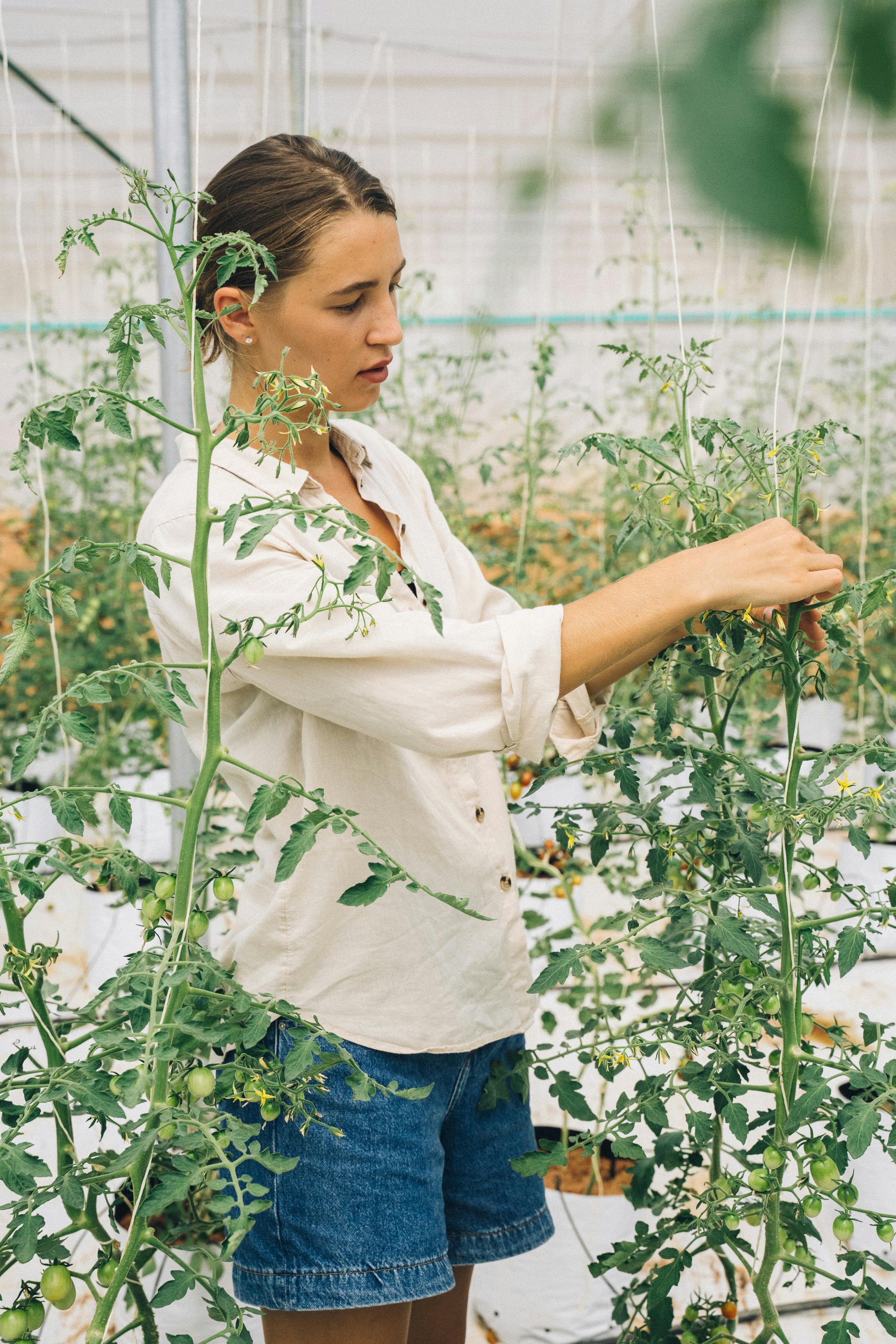 Women Working In A Farm Photos, Download The BEST Free Women Working In ...