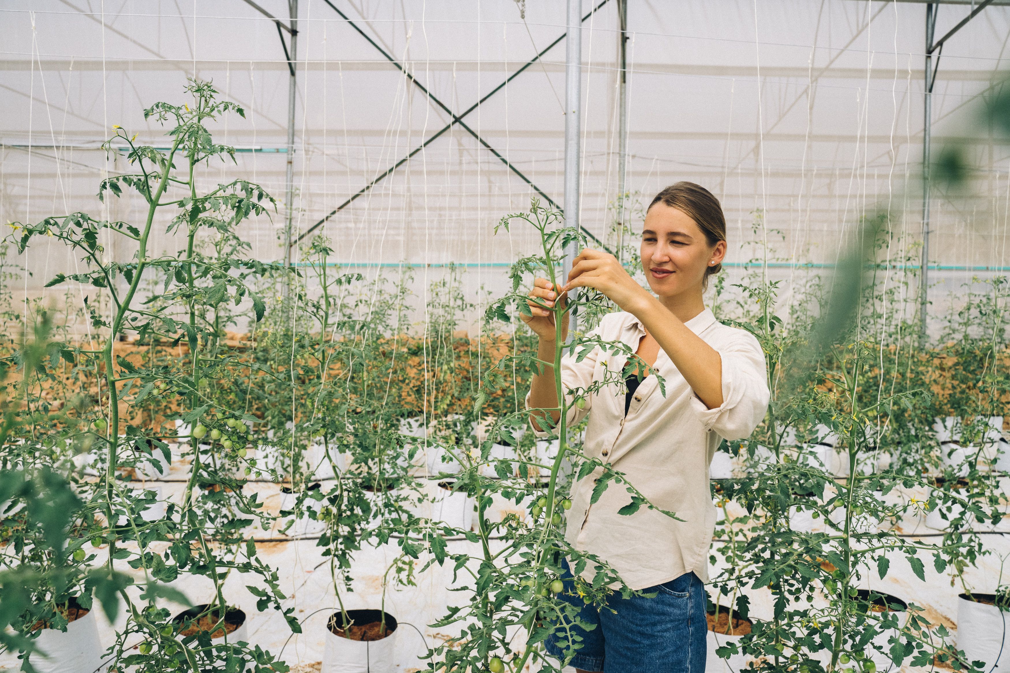 Photo of a Person Watering Plants · Free Stock Photo