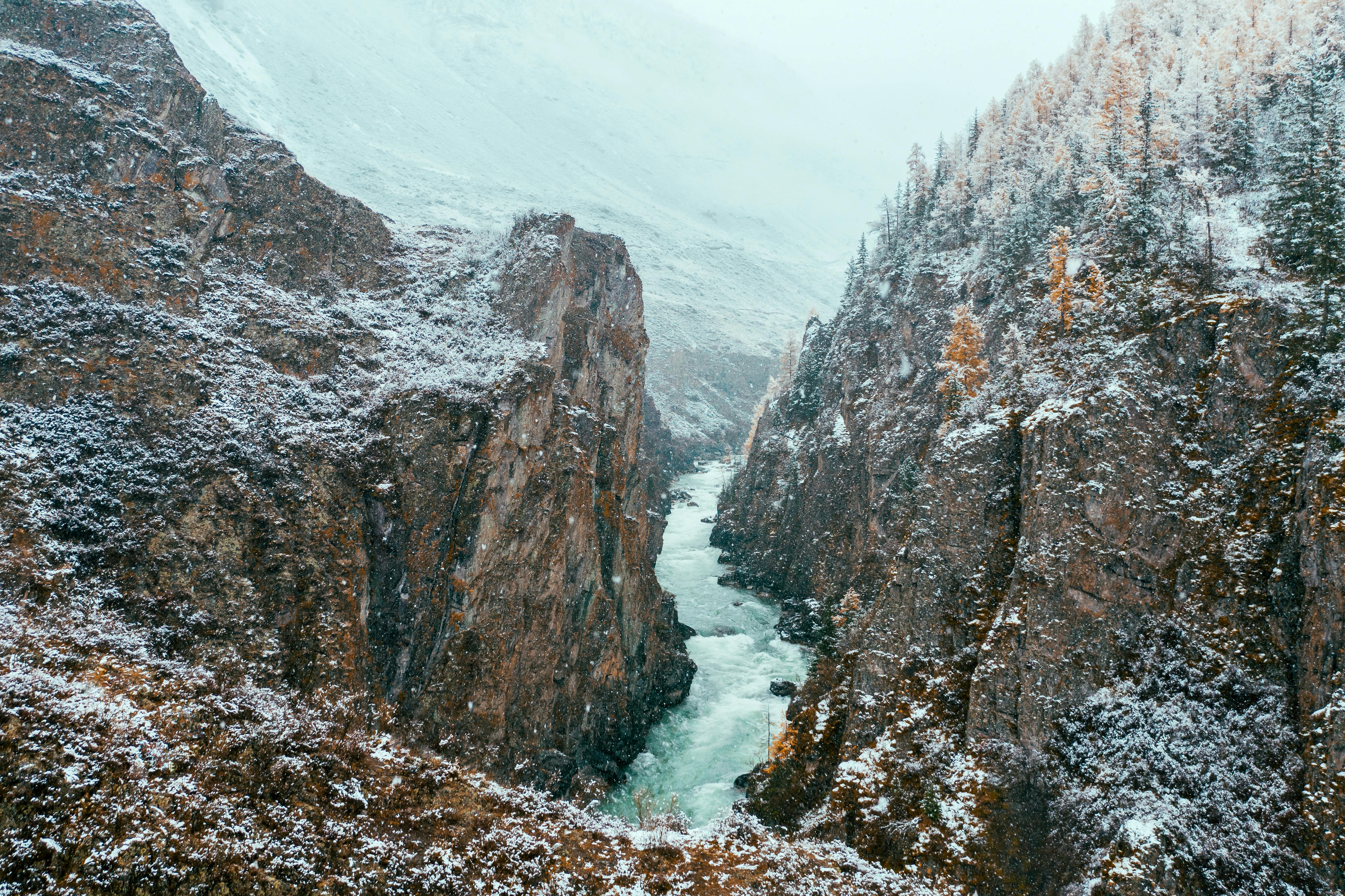 100+ Best Siberia Photos · 100% Free Download · Pexels Stock Photos