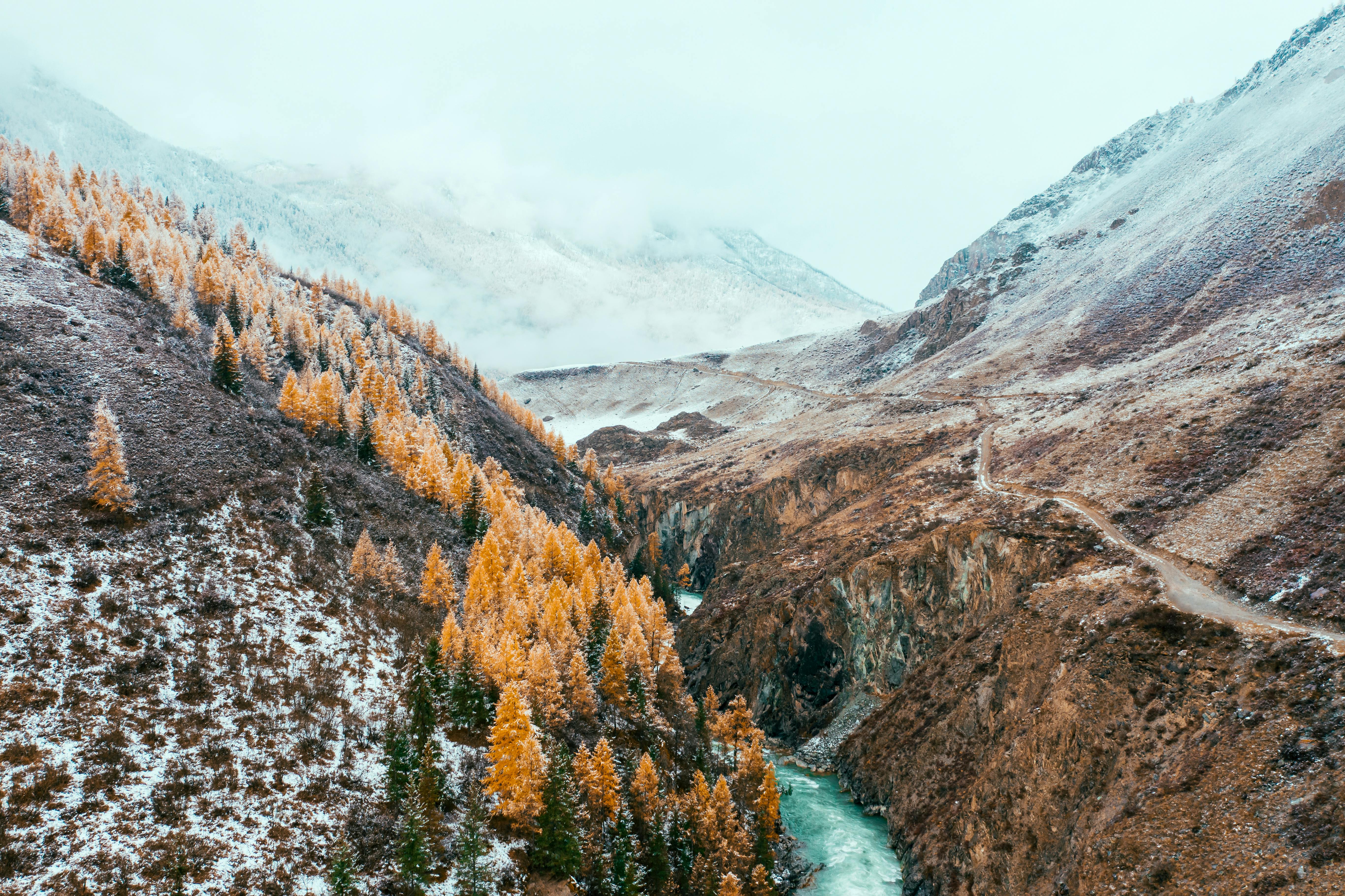 Fog And Depositing Rime Fog Photos, Download The BEST Free Fog And ...