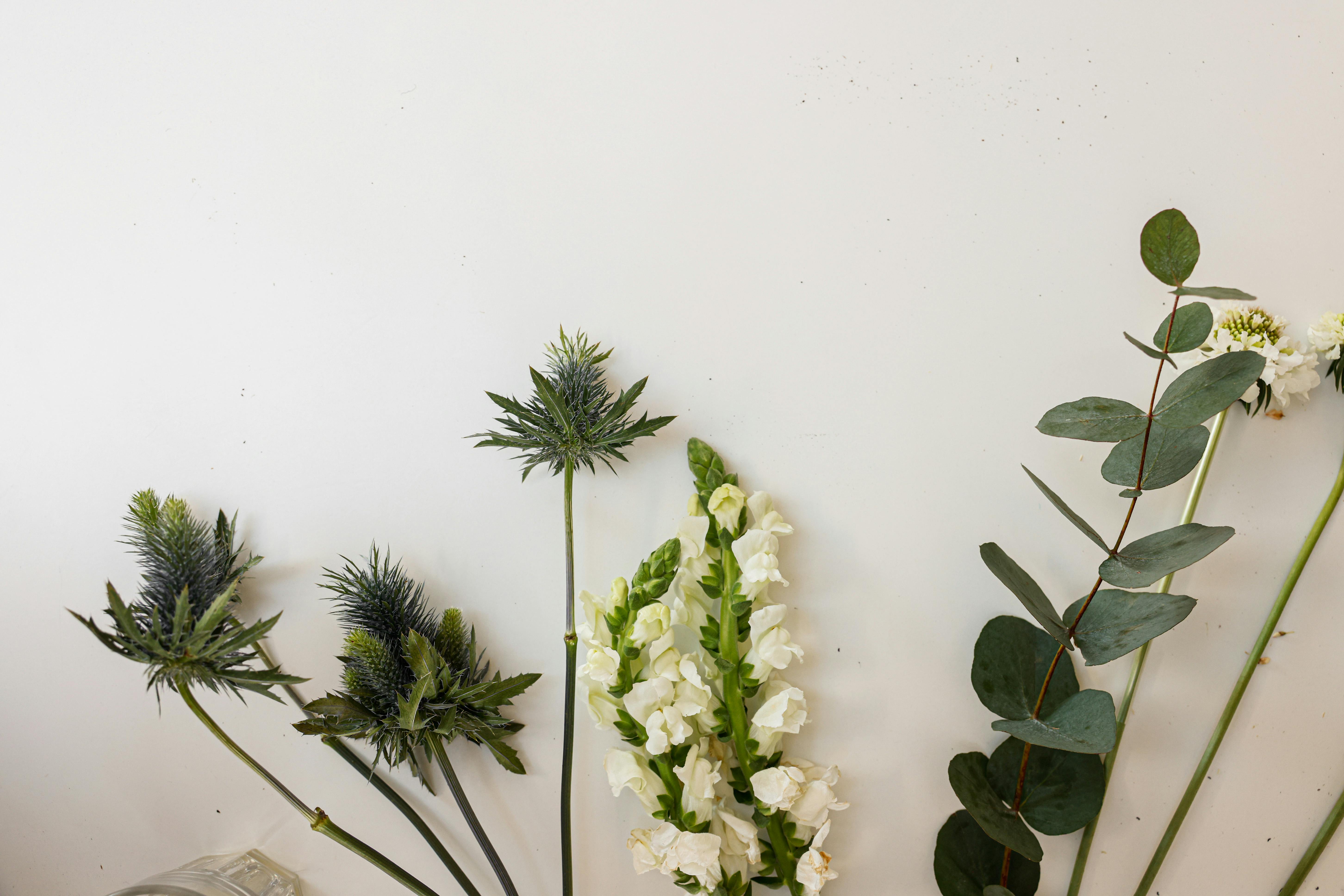 Flat Lay of Flowers and Leaves · Free Stock Photo