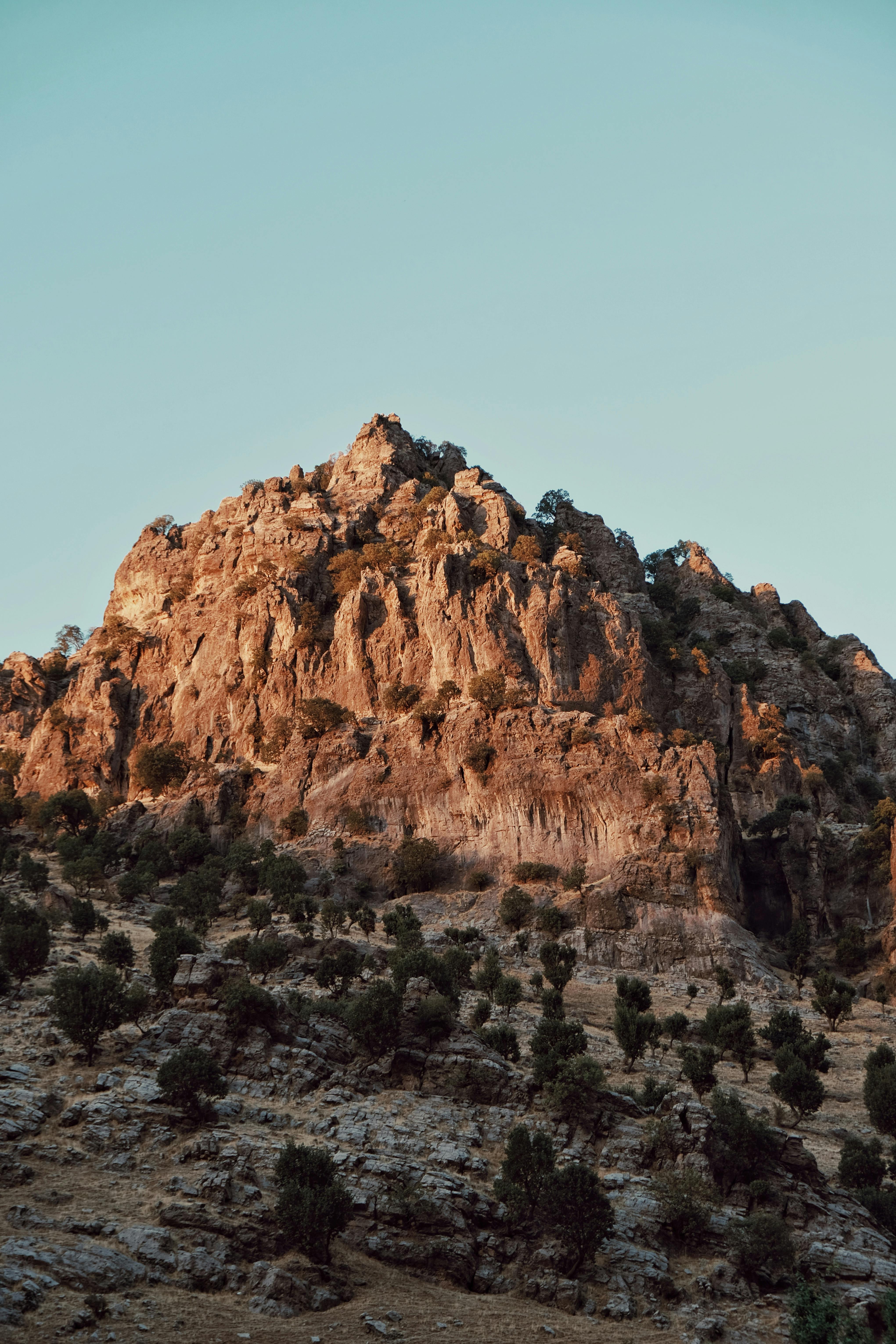 Shrubs near rough mountain in nature · Free Stock Photo