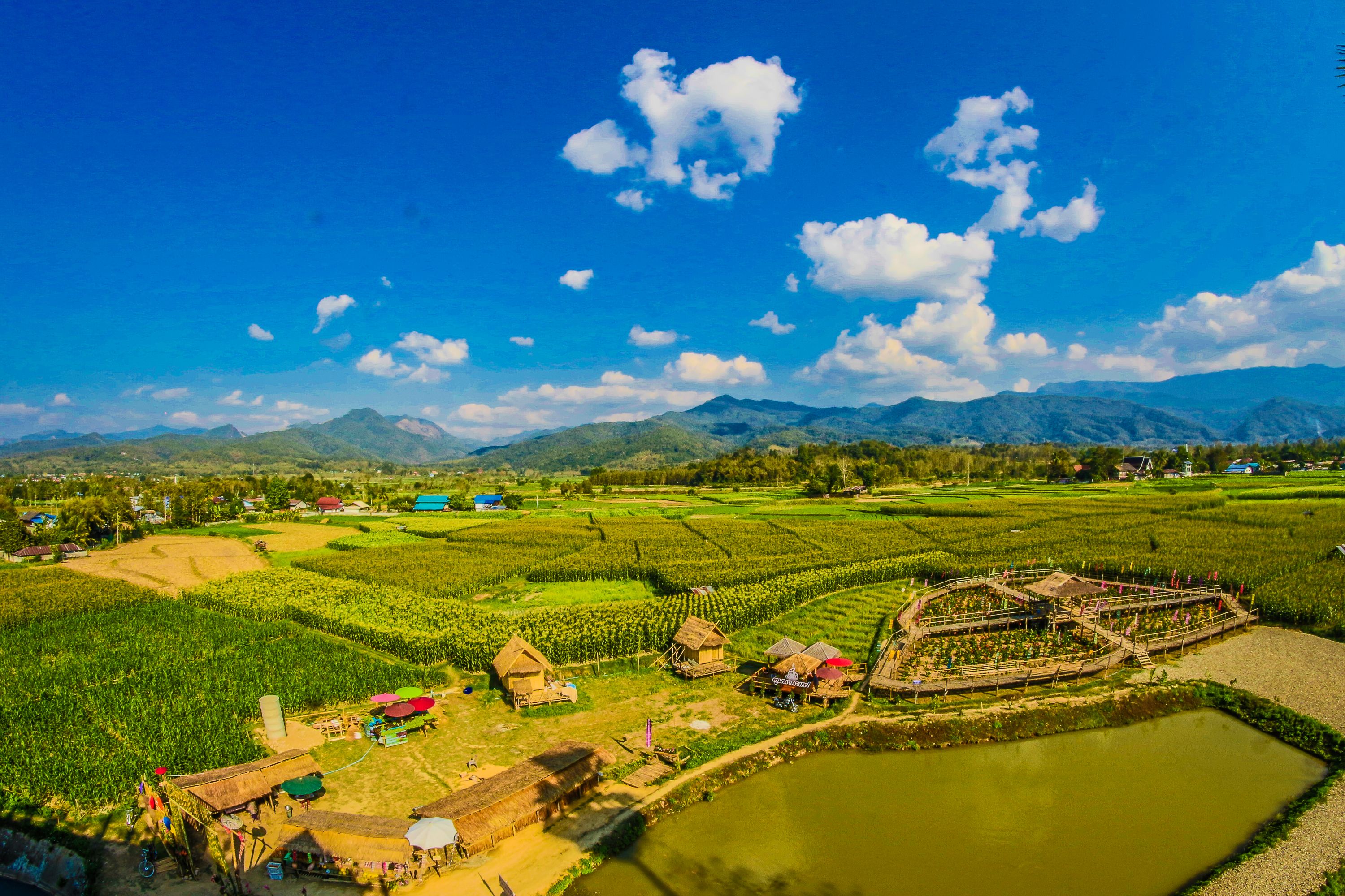 Rice Fileds In Mountains Photos, Download The BEST Free Rice Fileds In ...