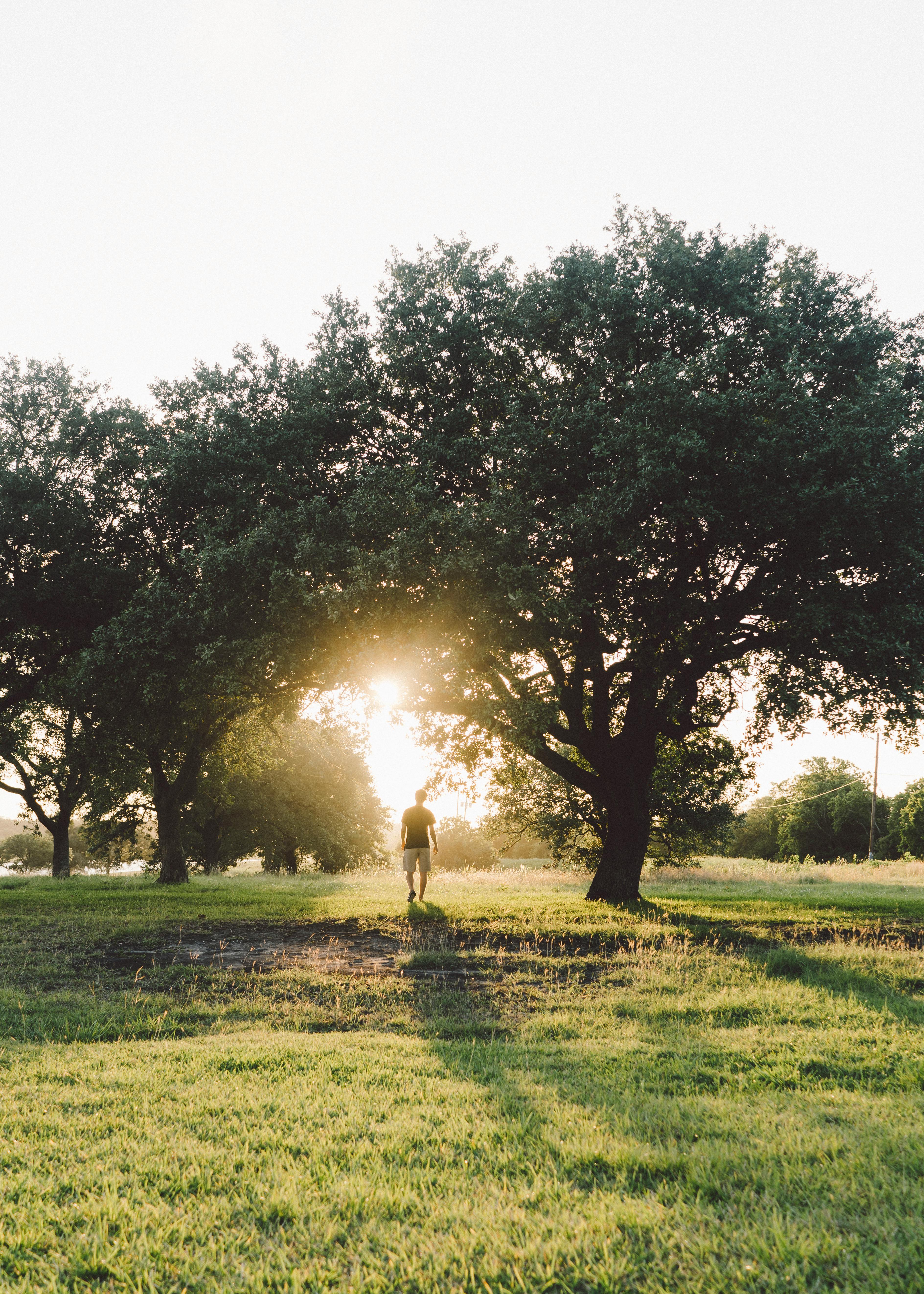 Man Walking during Sunrise · Free Stock Photo