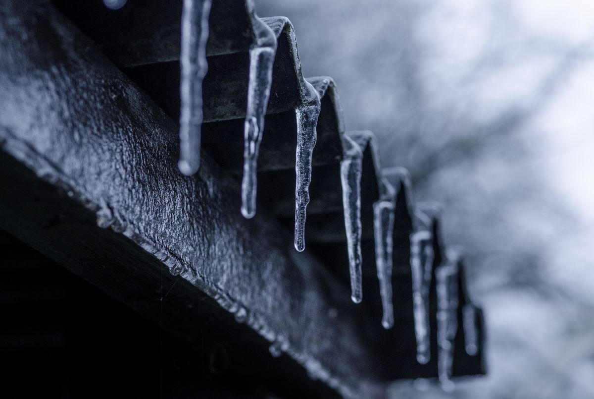 Cold+Pfp Photos, Download The BEST Free Cold+Pfp Stock Photos & HD Images