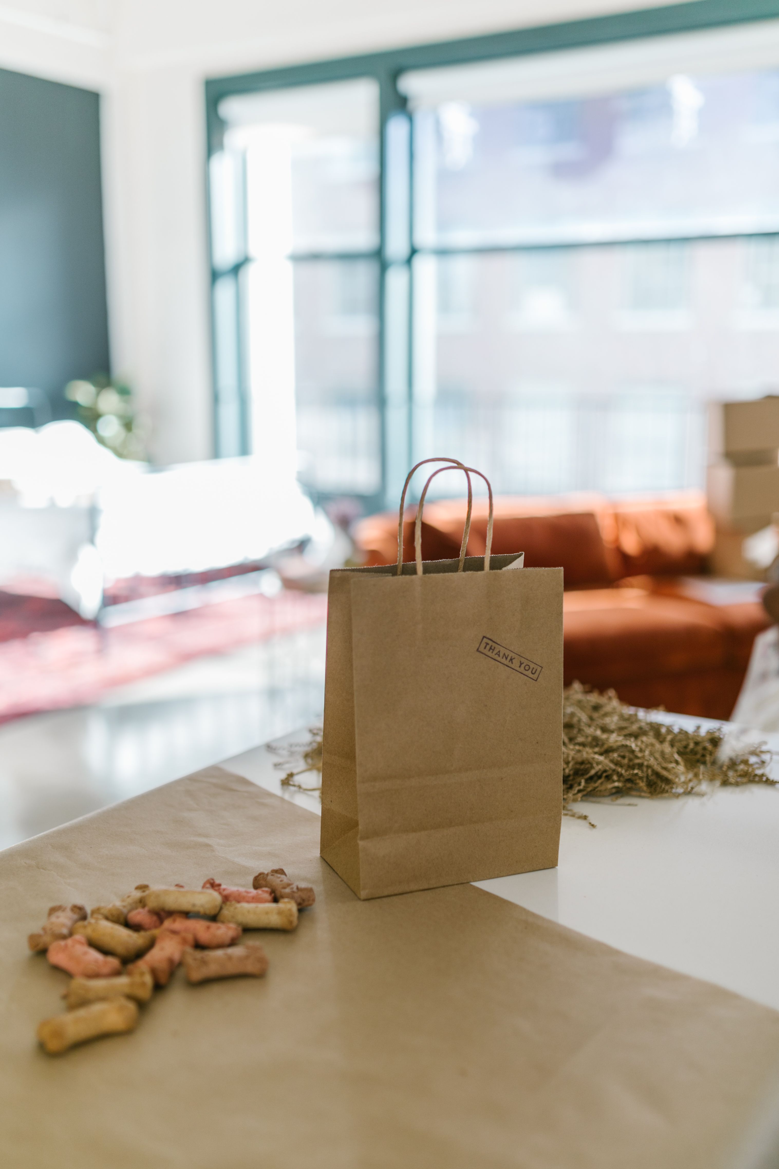 A Paper Bag with Dog Treats on a Brown Table · Free Stock Photo