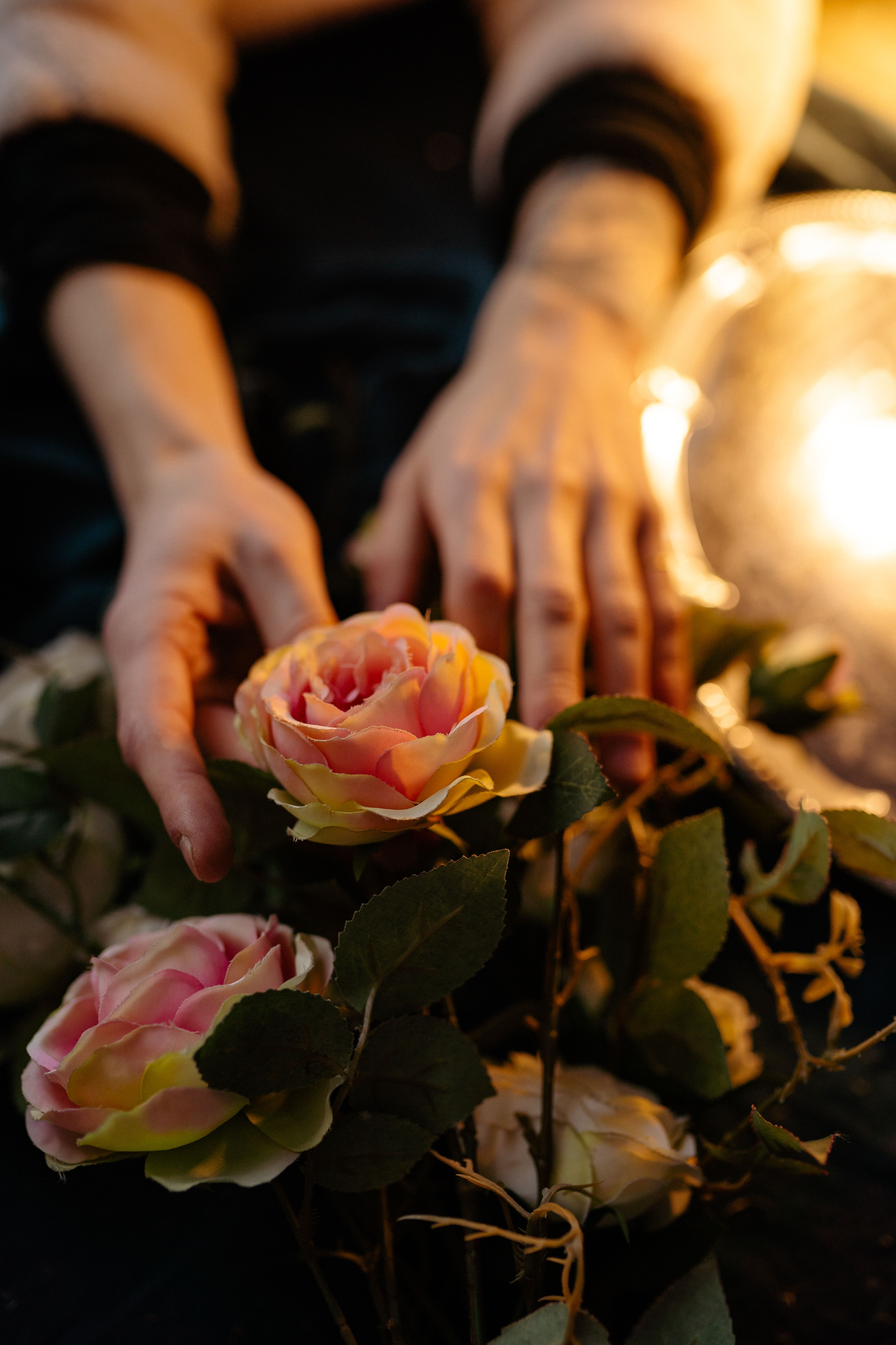 Hands Holding Light Photos, Download The BEST Free Hands Holding Light ...