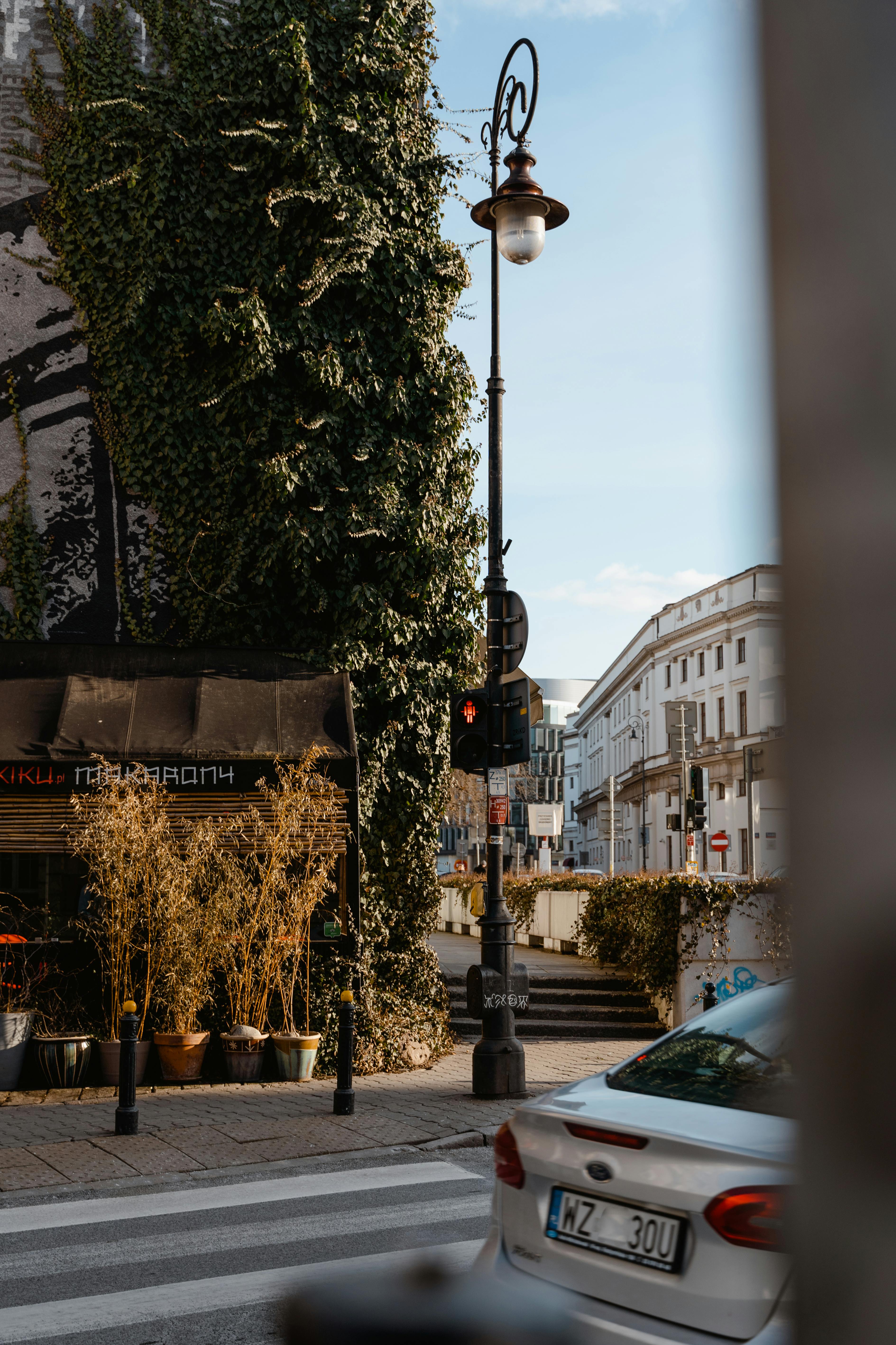 Black Light Post Near Tree · Free Stock Photo