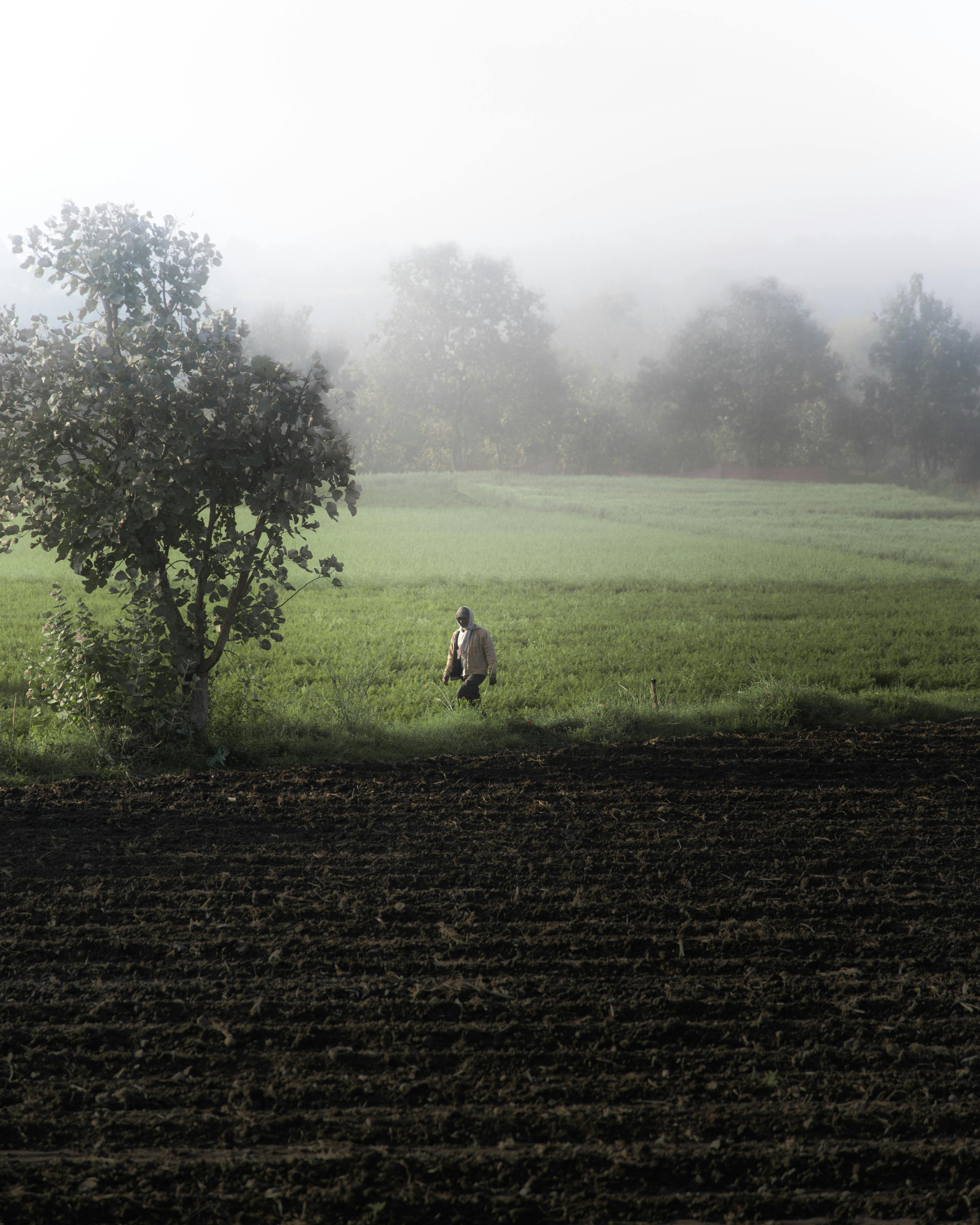 A Man Walking on the Farmfield · Free Stock Photo