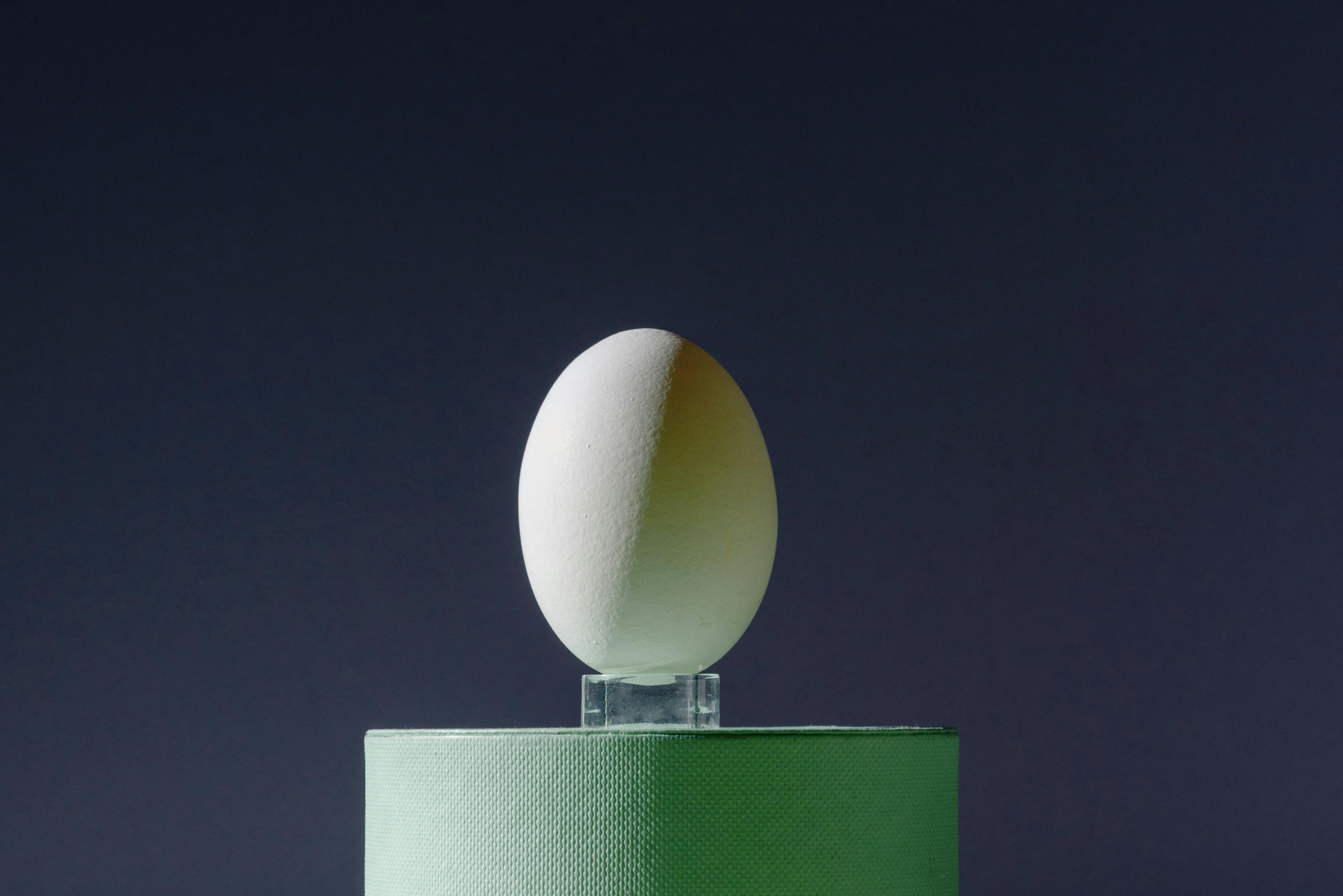 Close-Up of an Egg · Free Stock Photo