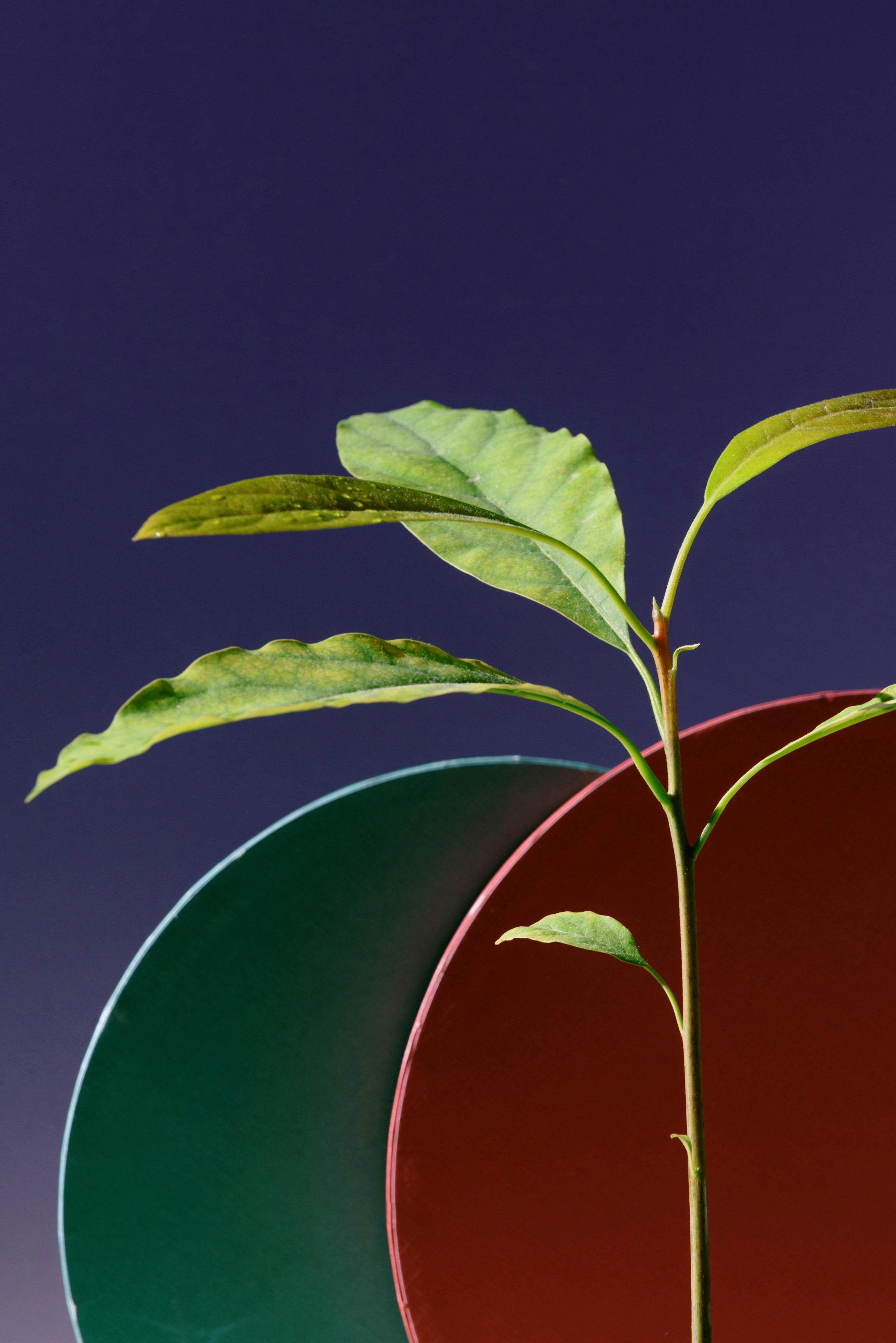 Colored Photos, Download The BEST Free Colored Stock Photos & HD Images