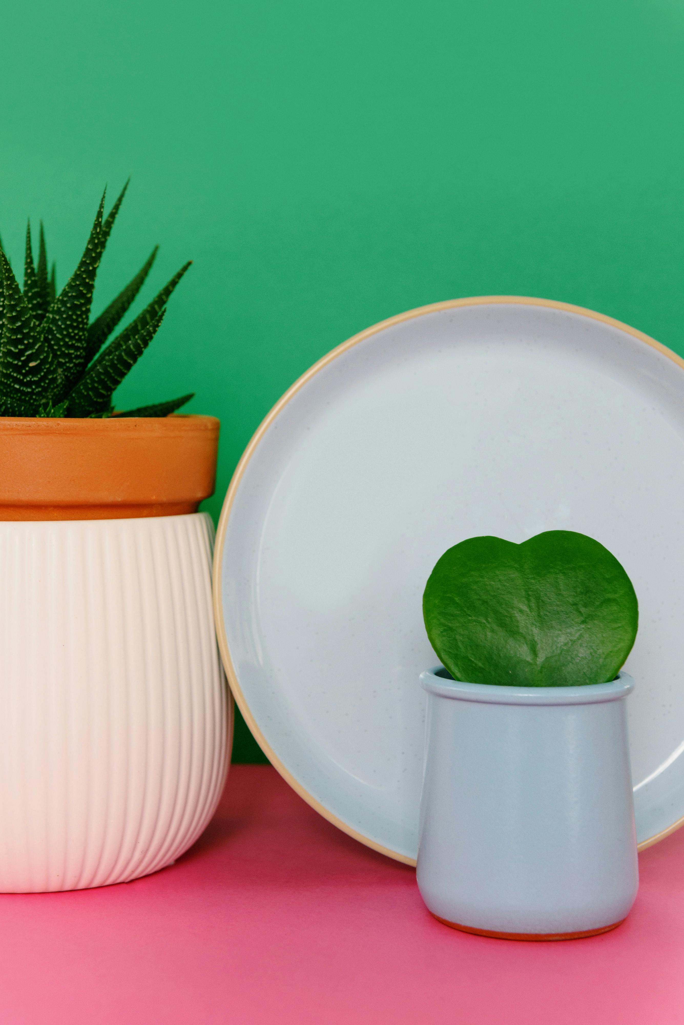 Colored Photos, Download The BEST Free Colored Stock Photos & HD Images