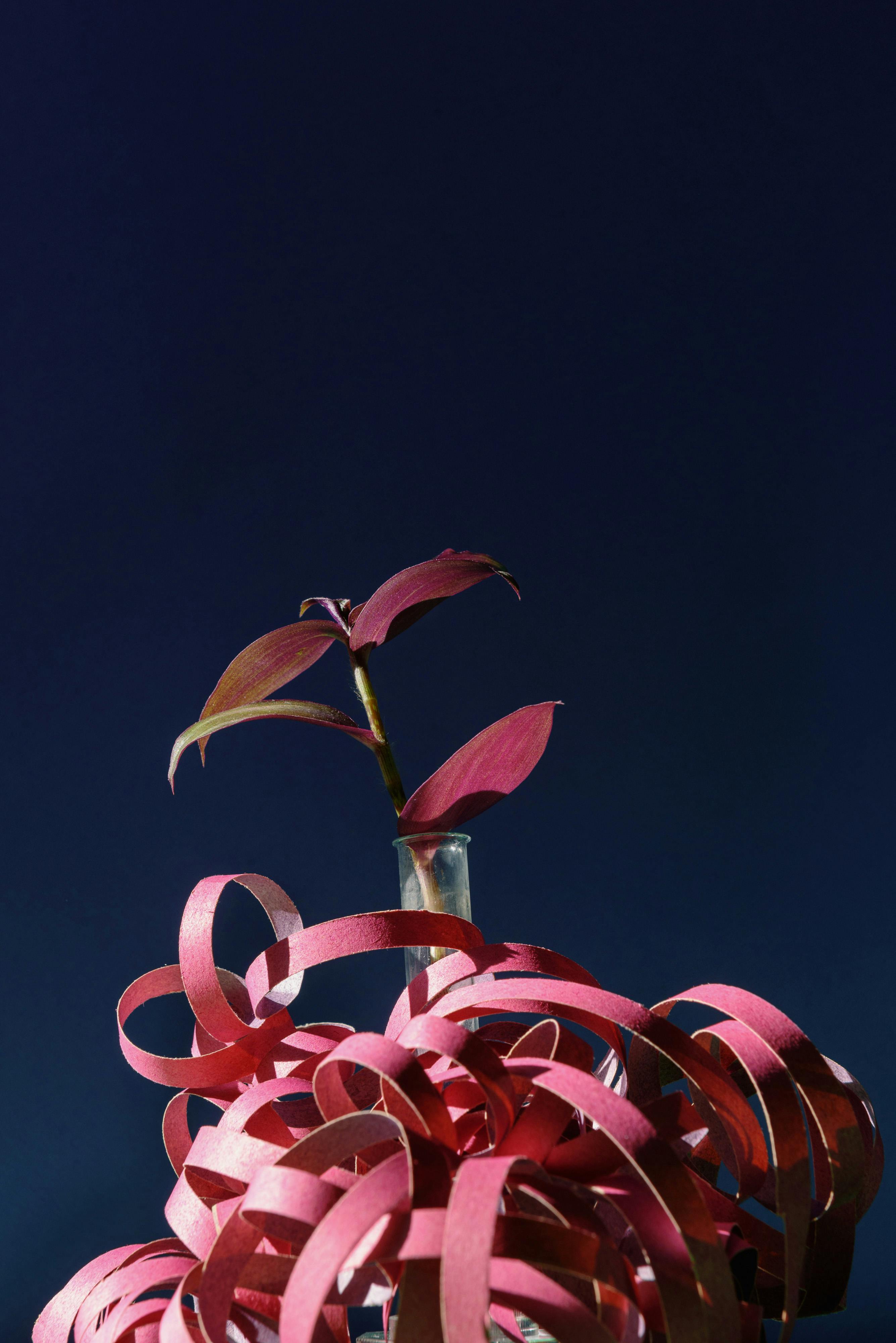 Red Paper Strips in Close Up Photography · Free Stock Photo